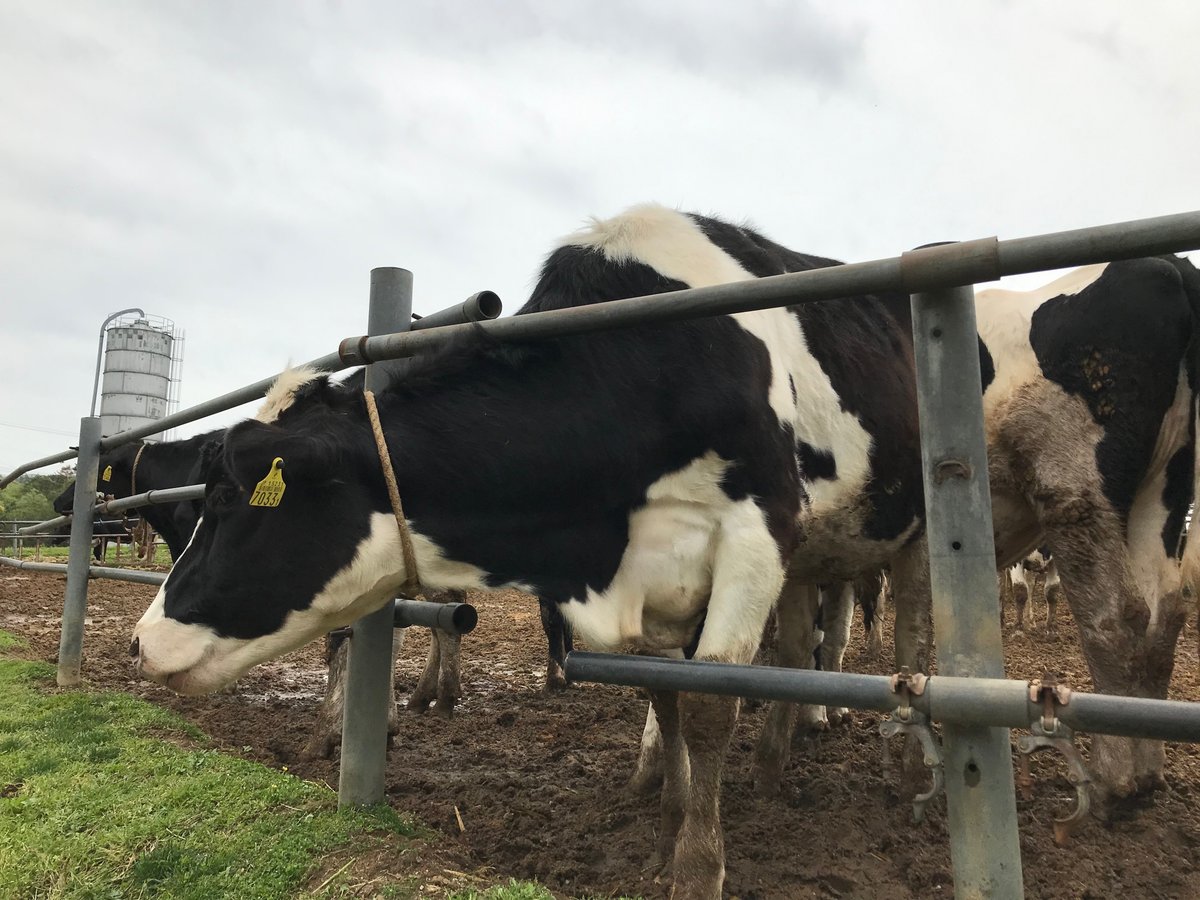 さらば、そして、ありがとう。サゴタニのビン牛乳。｜宮崎園子 Sonoko MIYAZAKI
