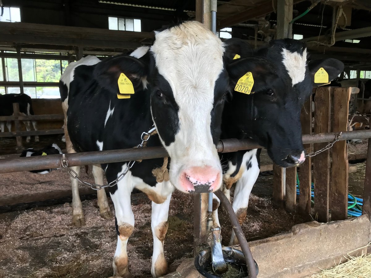 さらば、そして、ありがとう。サゴタニのビン牛乳。｜宮崎園子 Sonoko MIYAZAKI