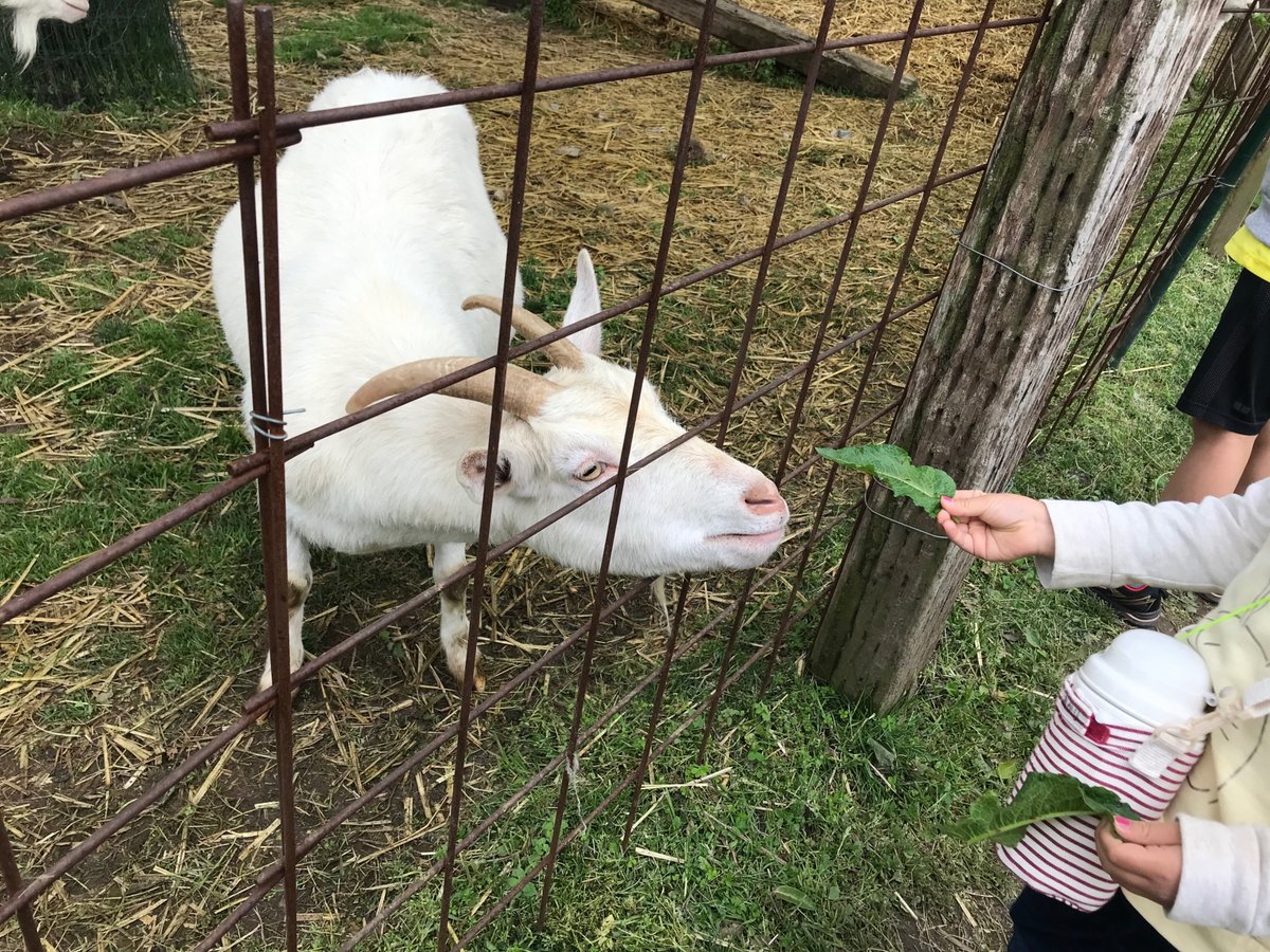 さらば、そして、ありがとう。サゴタニのビン牛乳。｜宮崎園子 Sonoko MIYAZAKI