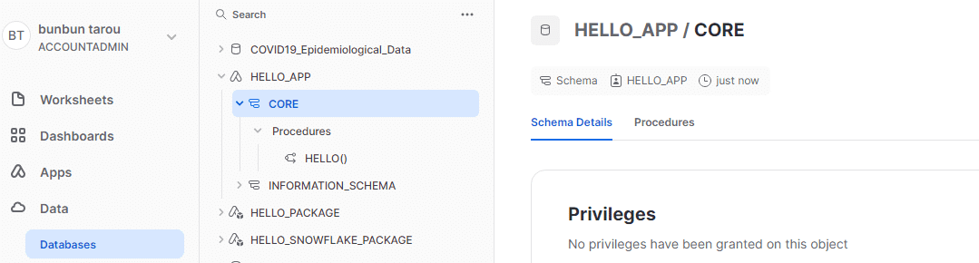Snowflakeさわってみた。 Native Apps Framework試してみた。｜分析屋