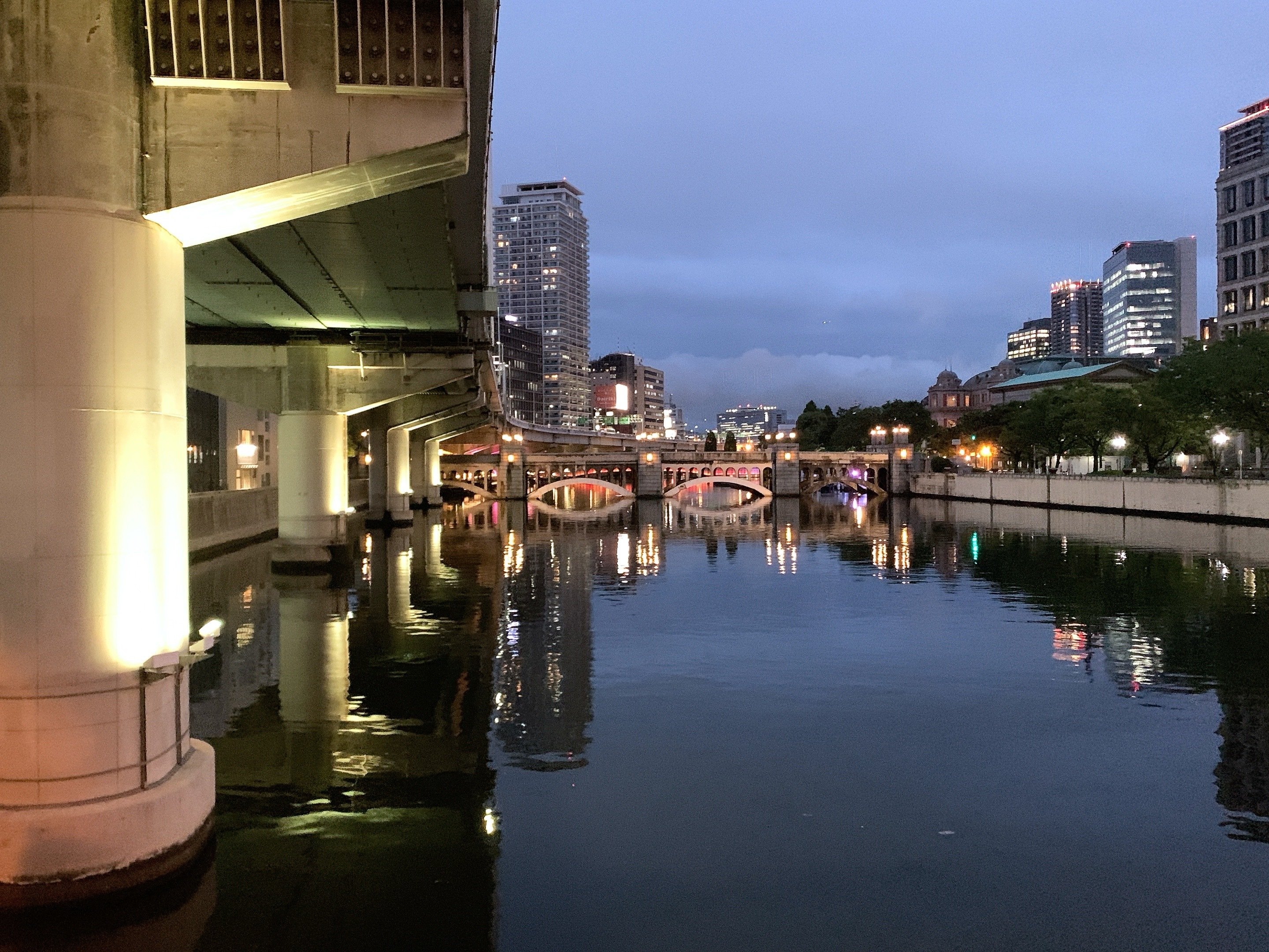 ALMOST SUMMER/OSAKA（フォト）｜swimmy_y