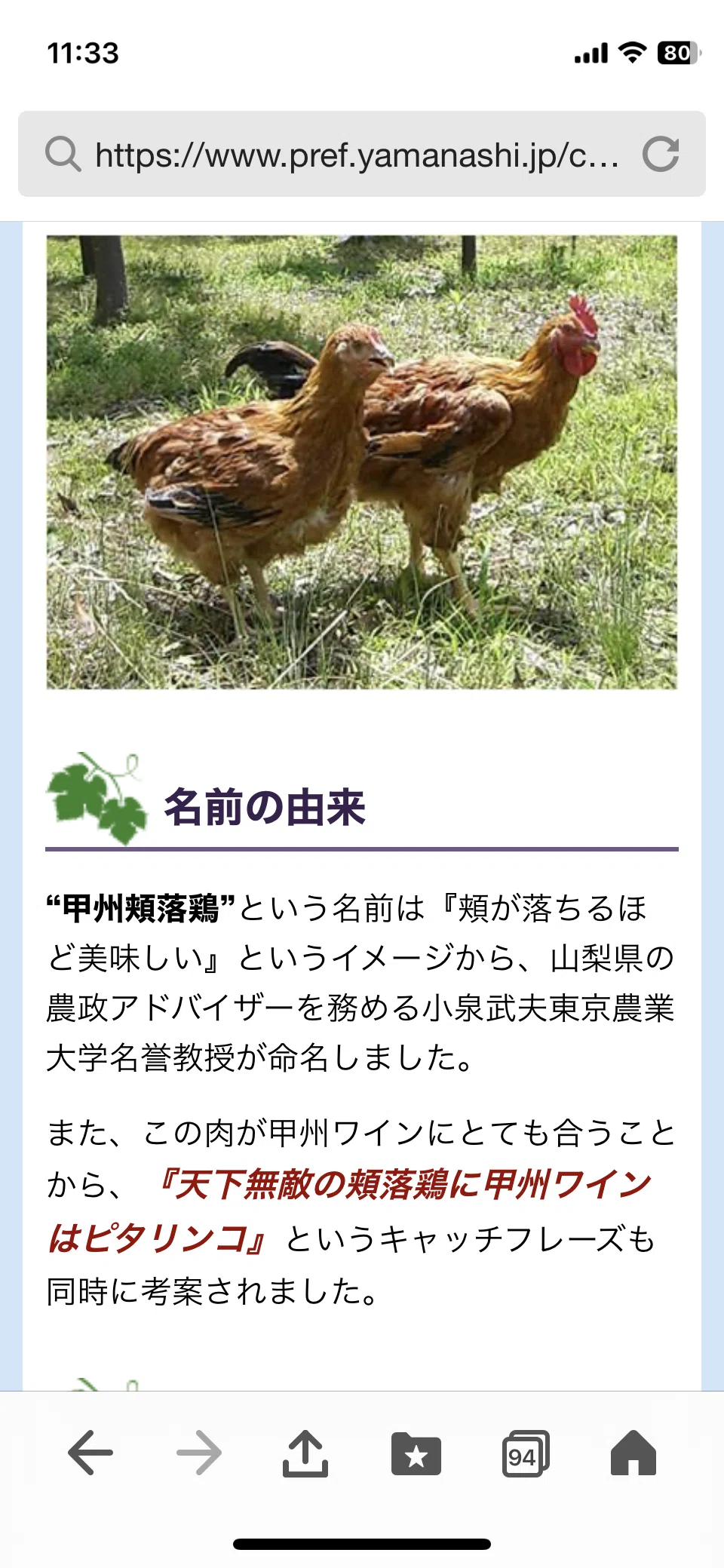 列車中コークハイボールやってたら前座席で甲州ほおとし鶏弁当を食べ始めるガーリック風味が酒を勧めてラッキー｜MIKI-ISO