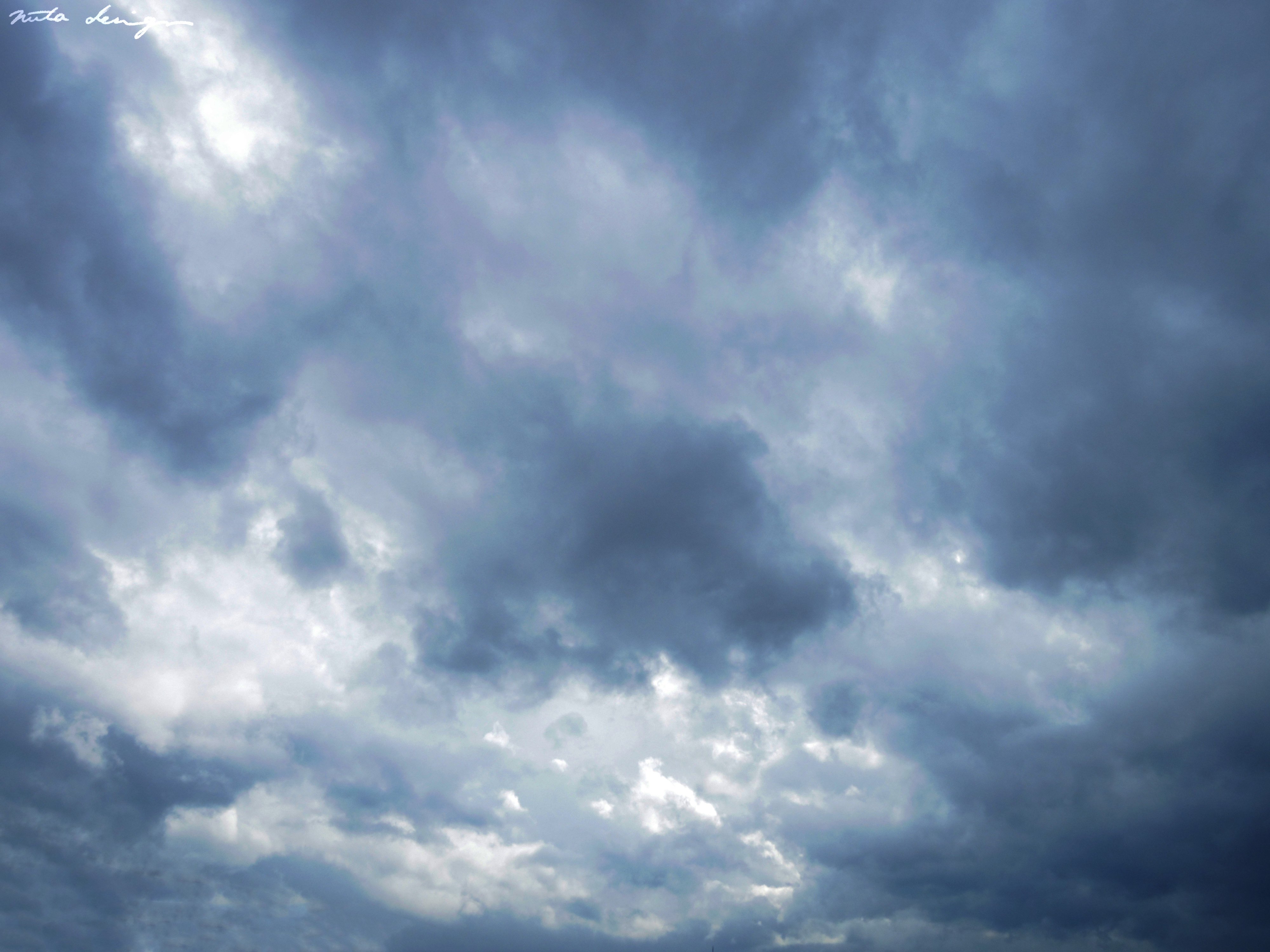 すこしはらはらしながら｜nuta design