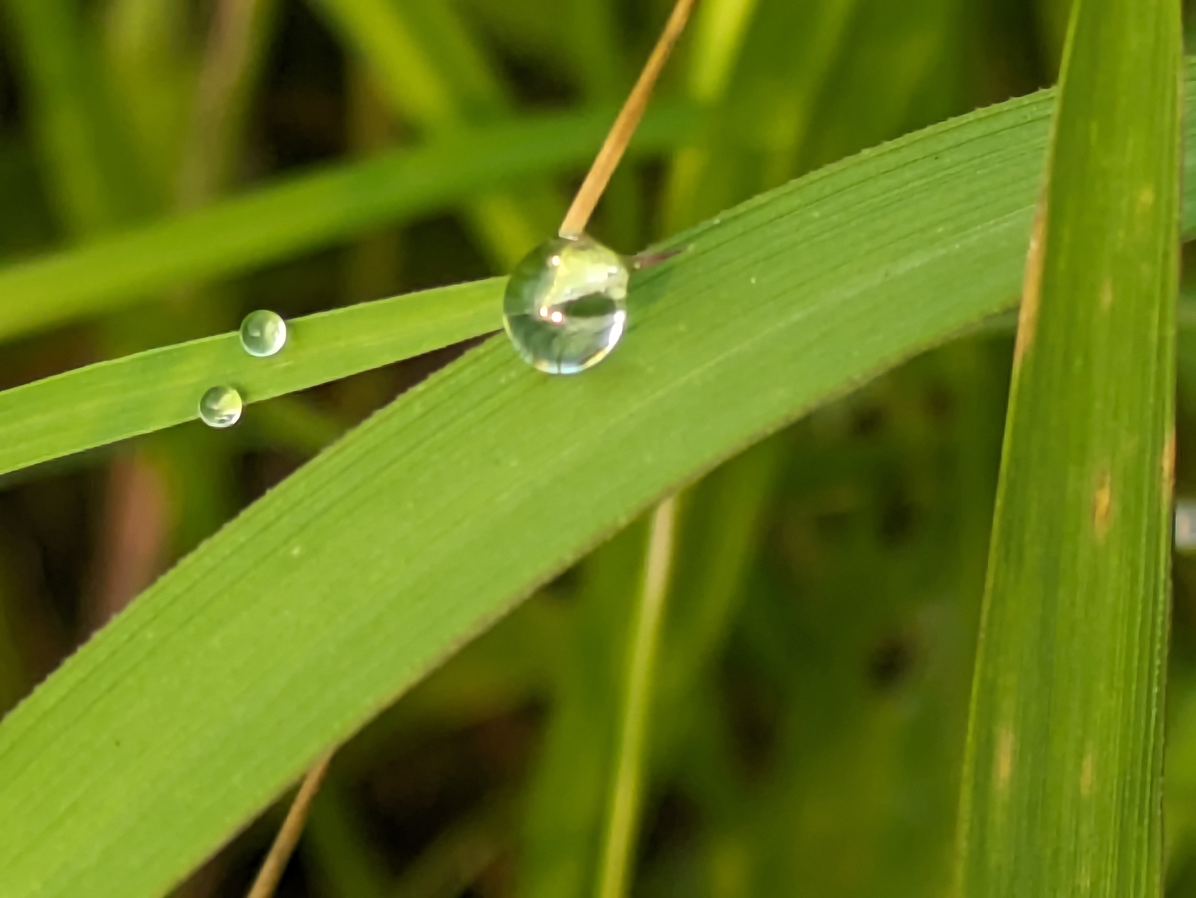 水滴家族｜ichiro70