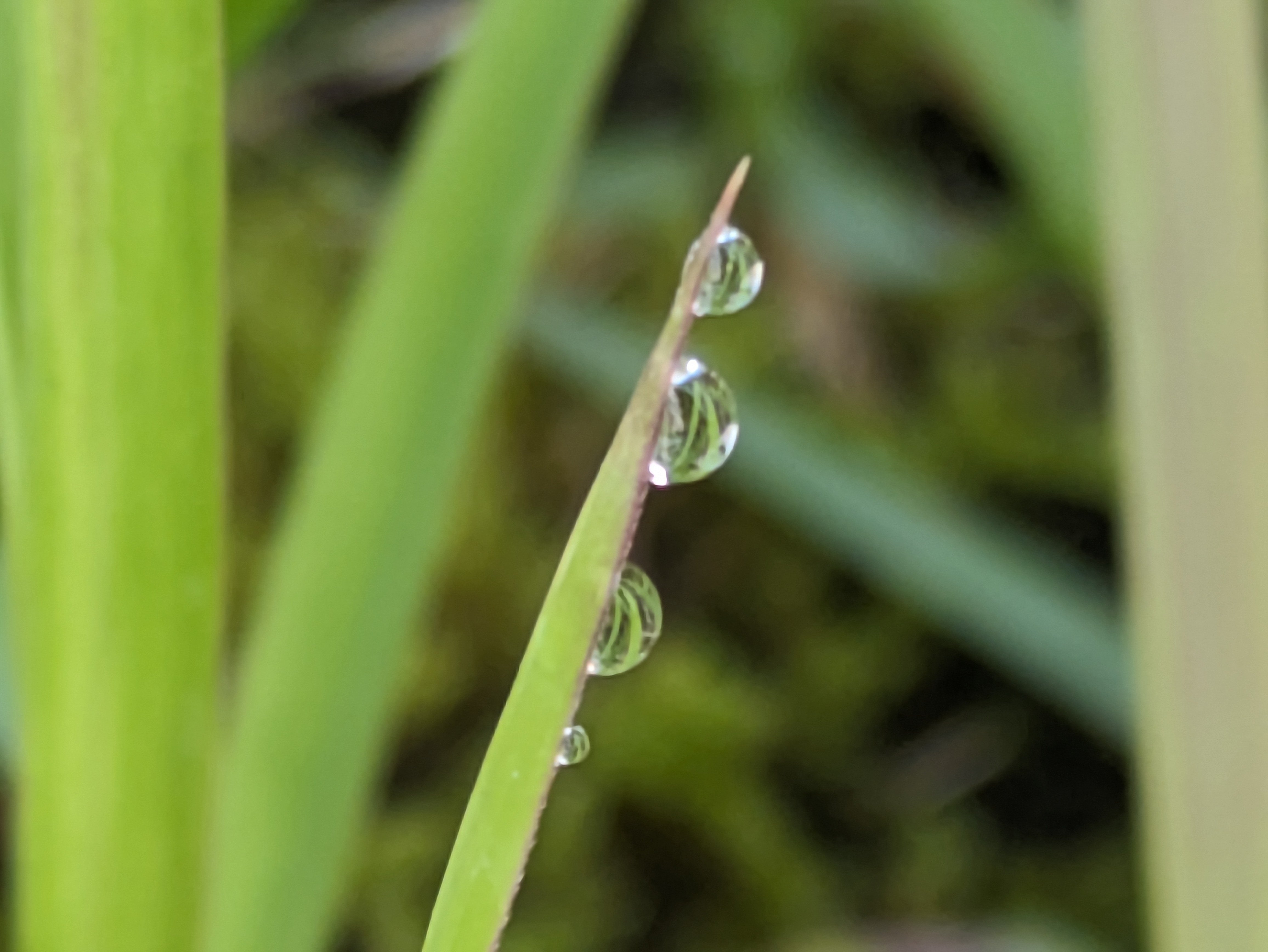 水滴家族｜ichiro70