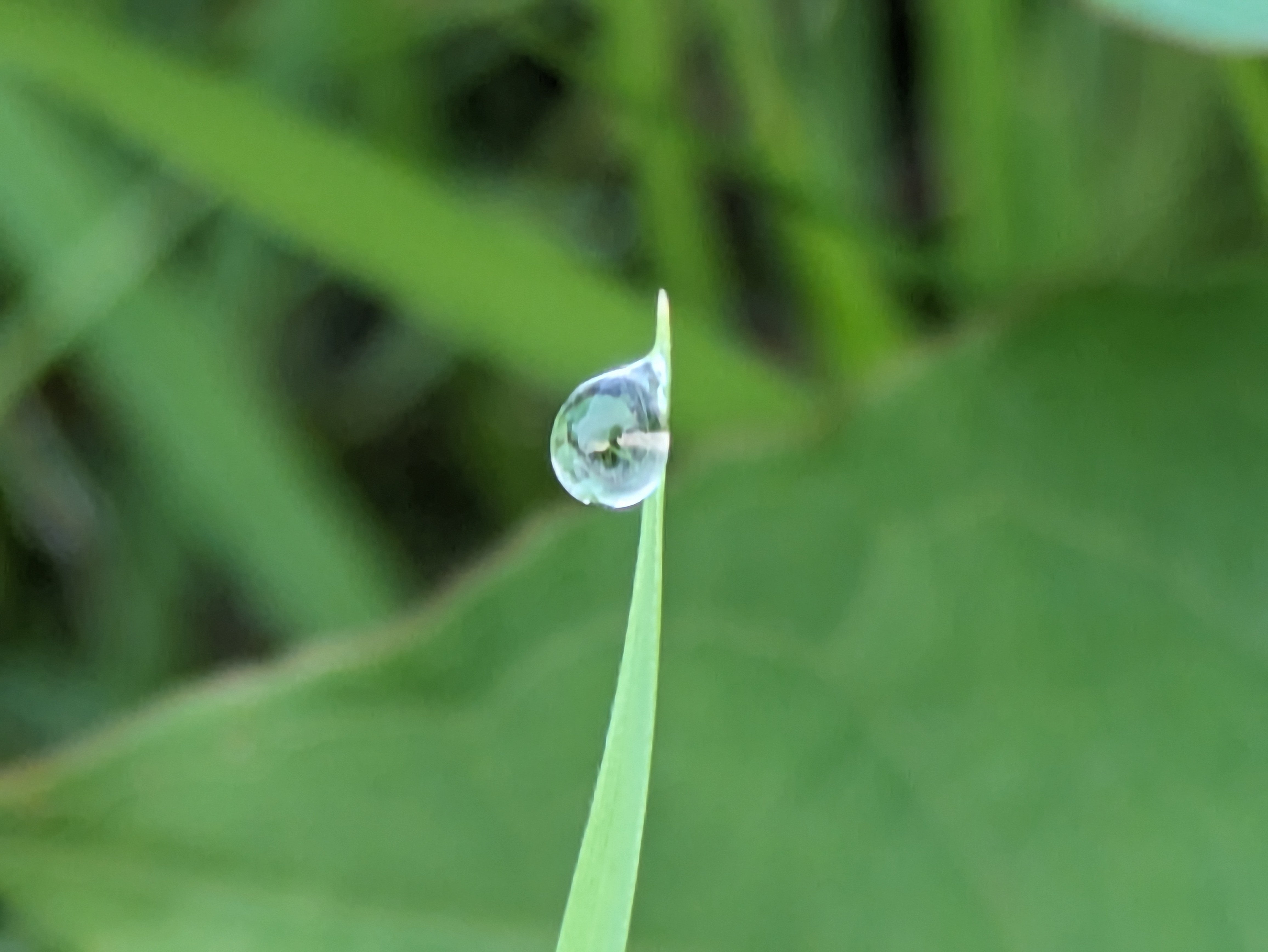 水滴家族｜ichiro70