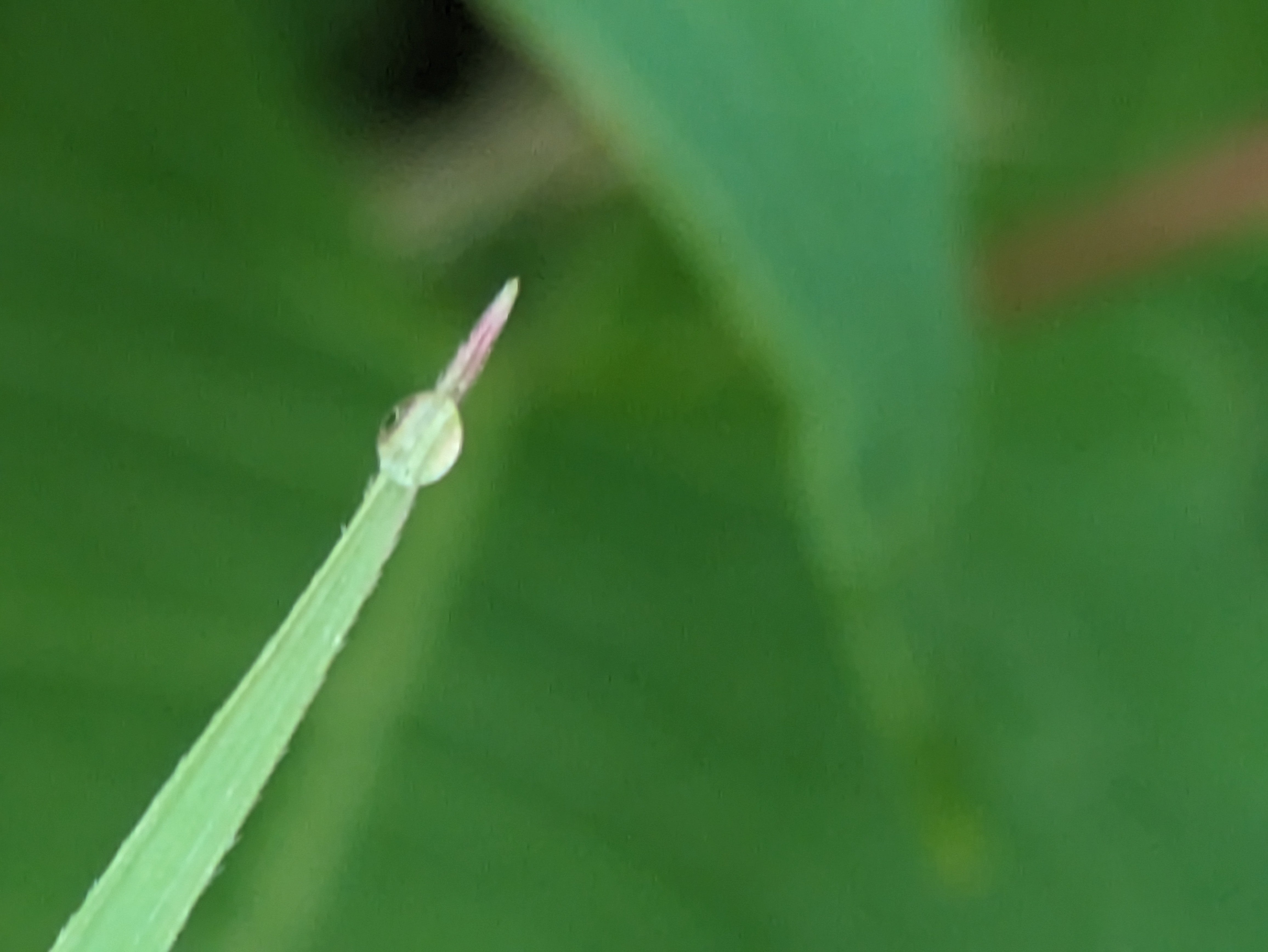 水滴家族｜ichiro70