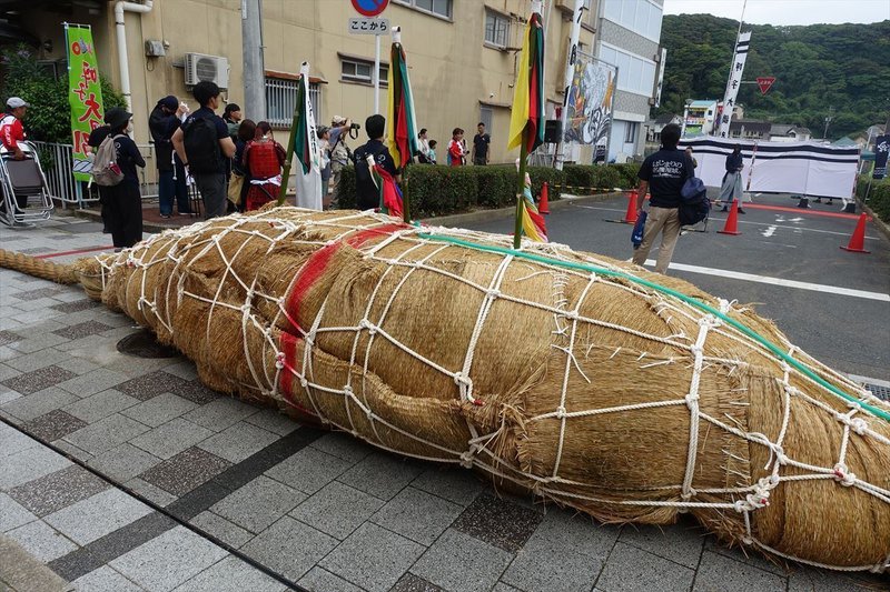 【呼子】男たちがぶつかり合う伝統の大綱引き＆透き通るイカ 国内旅行記・佐賀編Vol.4｜Tsuchinoco：ローファー旅