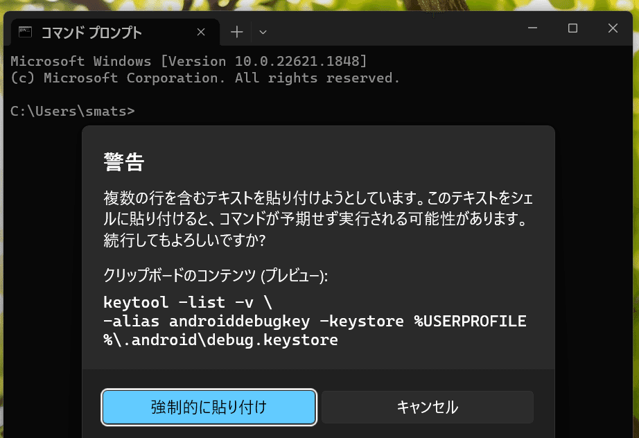 【FlutterFlow】SHA-1キー生成以前のJava環境！Google認証｜松井真也＠登録セキスペ