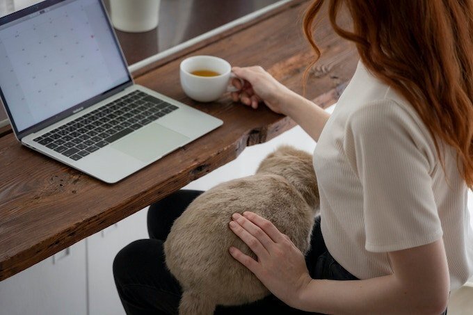 MeowEver 2 ＆ MeowEver Little 本物の猫と暮らすような体験ができる猫型クッション ｜Peak Japan