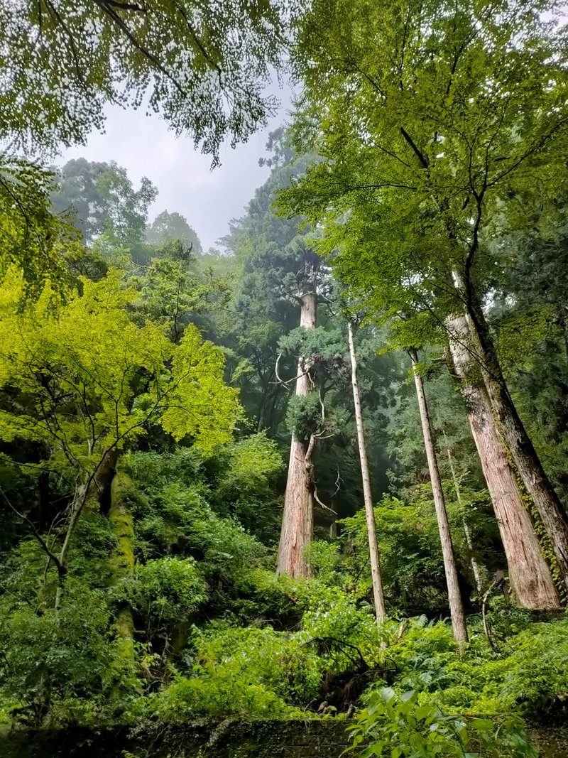 チャンスやチャレンジをするためには必要なんだよね｜Manami Taniguchi