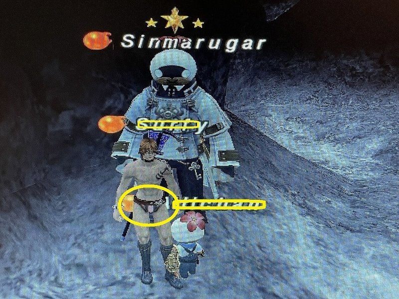 ソーティのとある日｜sinmaruken