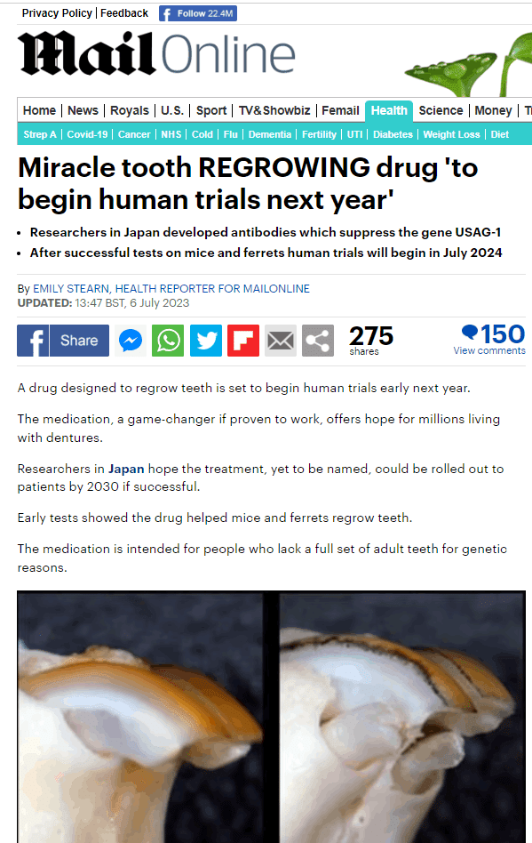 歯の再成長。🌟2024年から臨床試験。🦷 🌟｜AOR@白玉城より