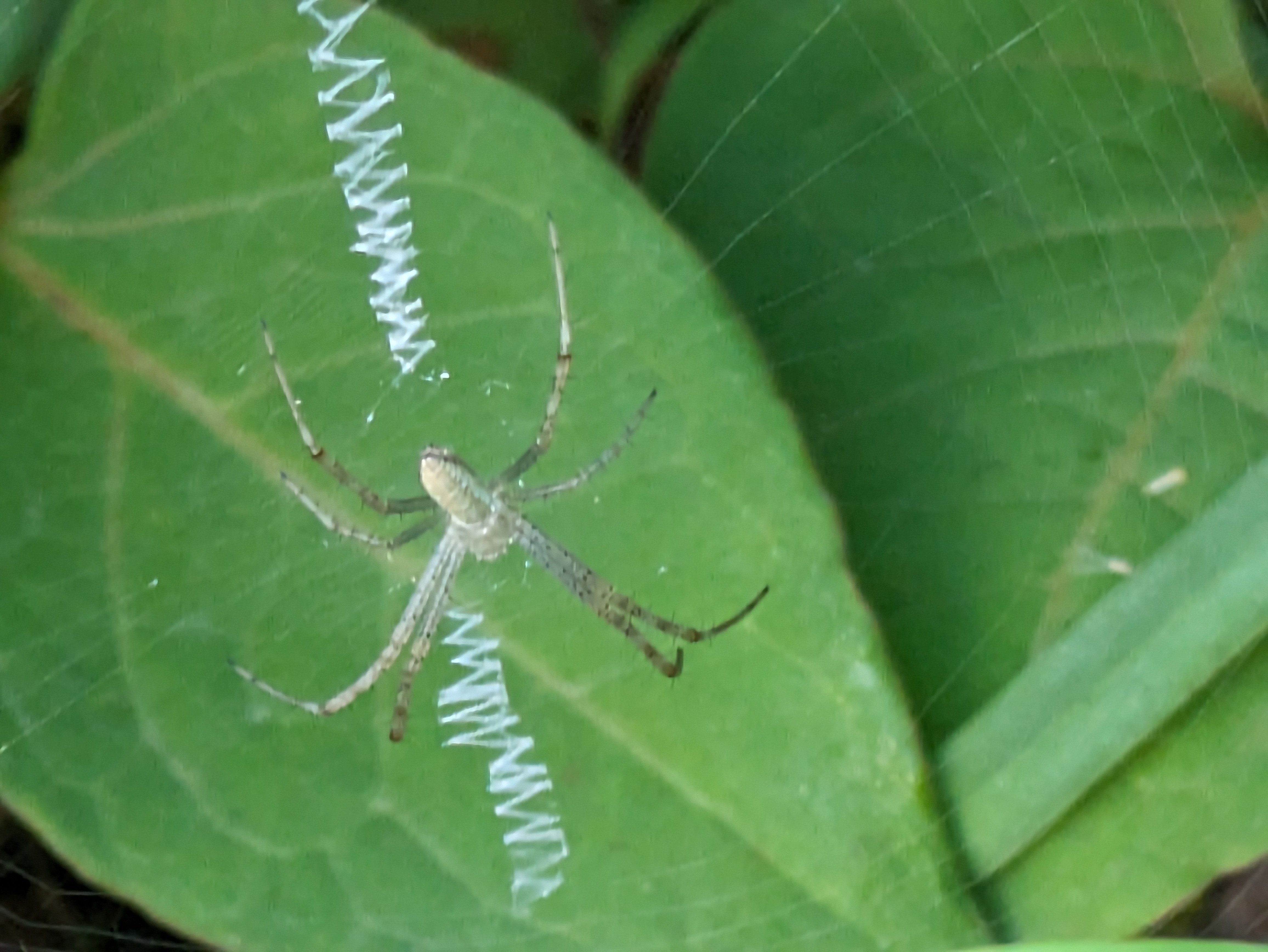 常連さんが居ない｜ichiro70