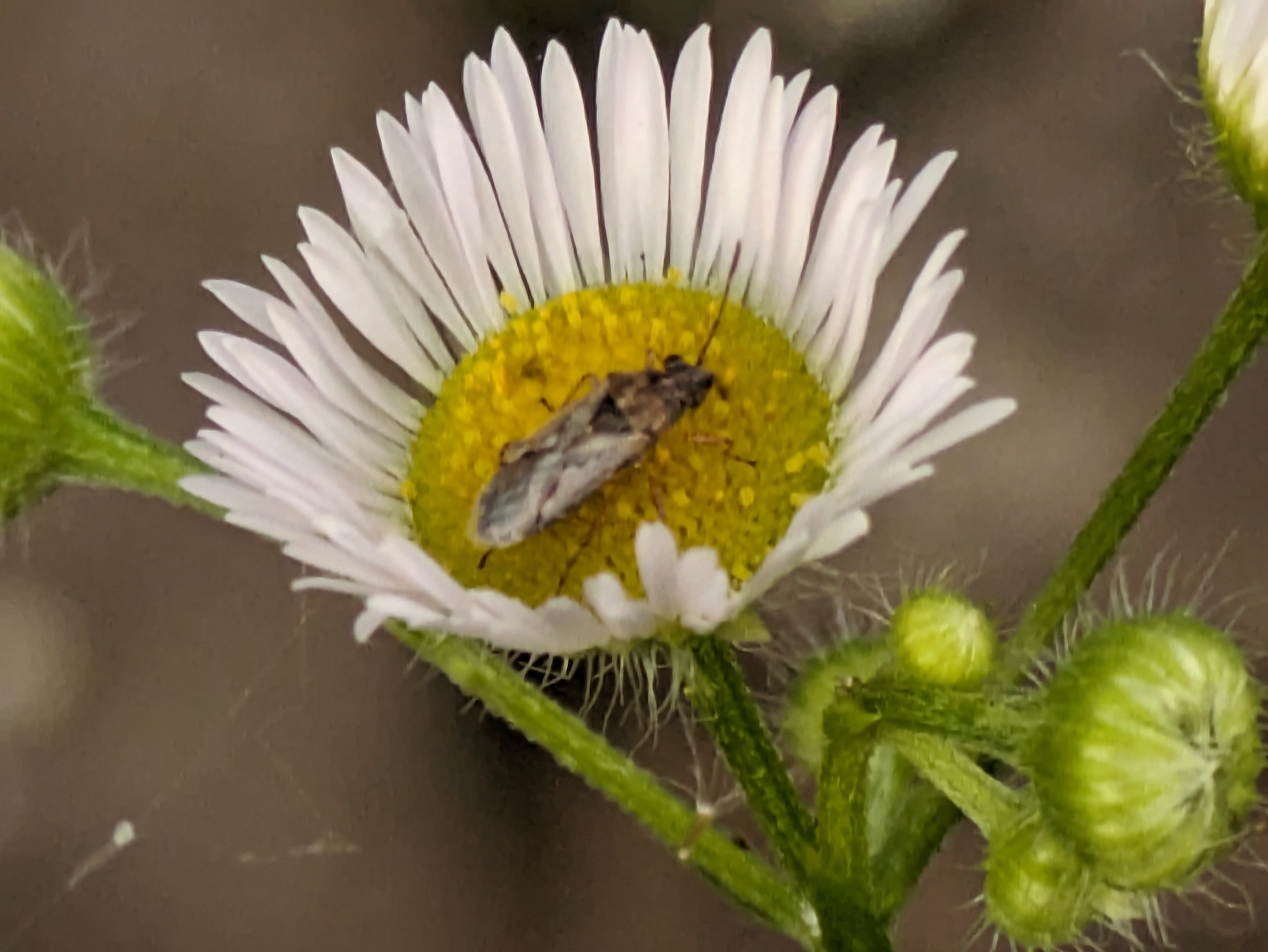 常連さんが居ない｜ichiro70