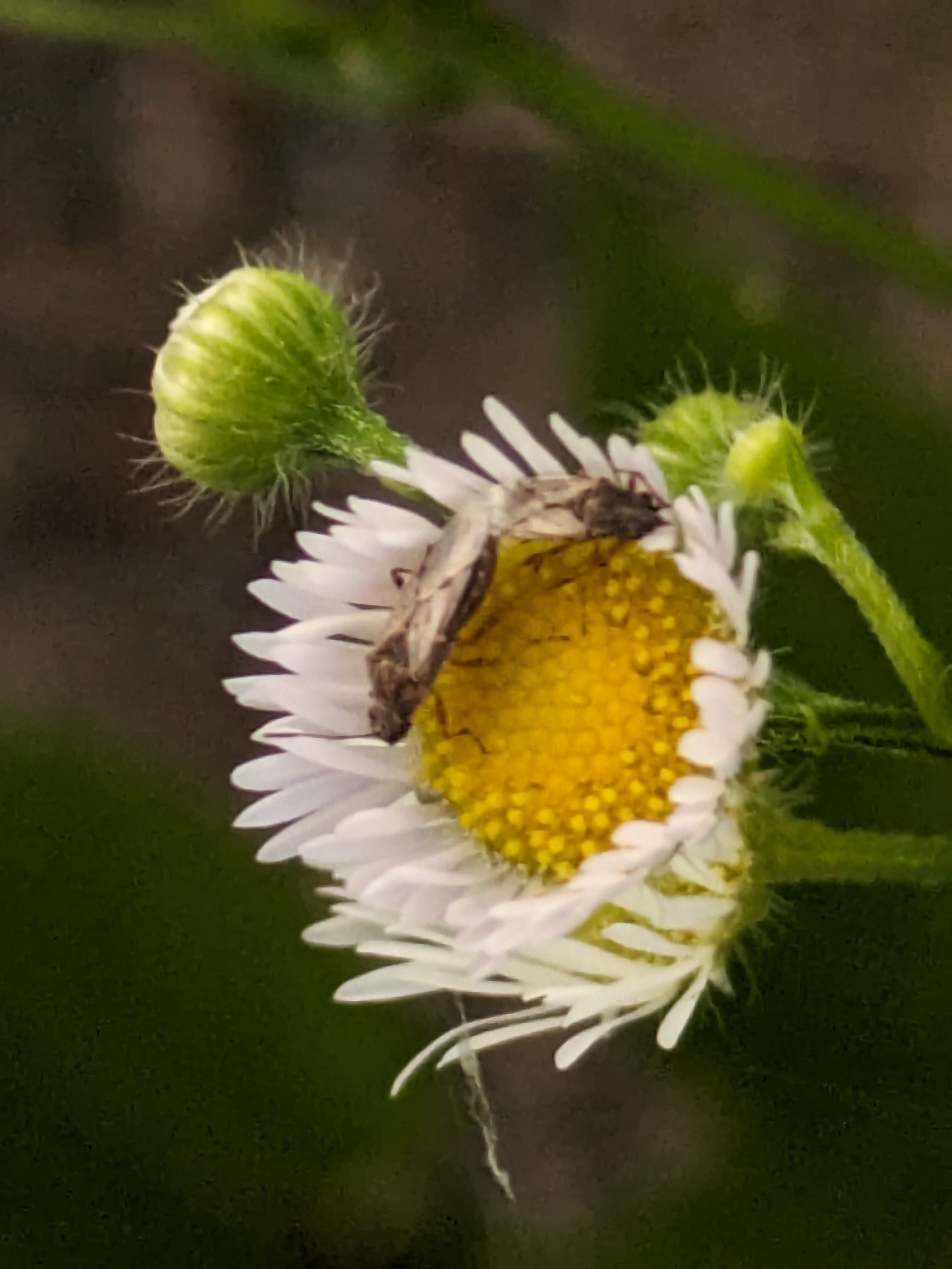 常連さんが居ない｜ichiro70