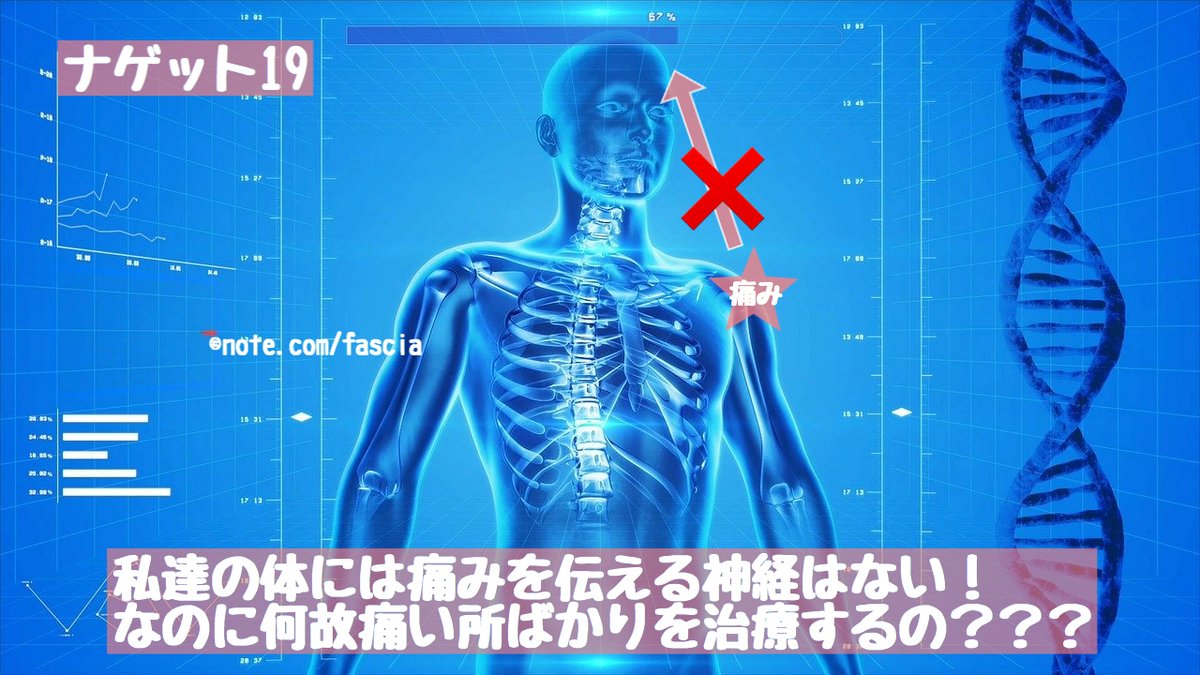 痛みについて勉強しなおす（23）---新刊「Bodily relearning」の詳細レビュー---｜noteさん