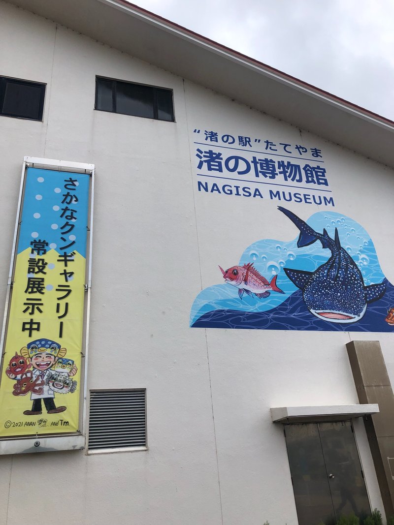 ギョギョッとさかなくんサマー｜catcatcat