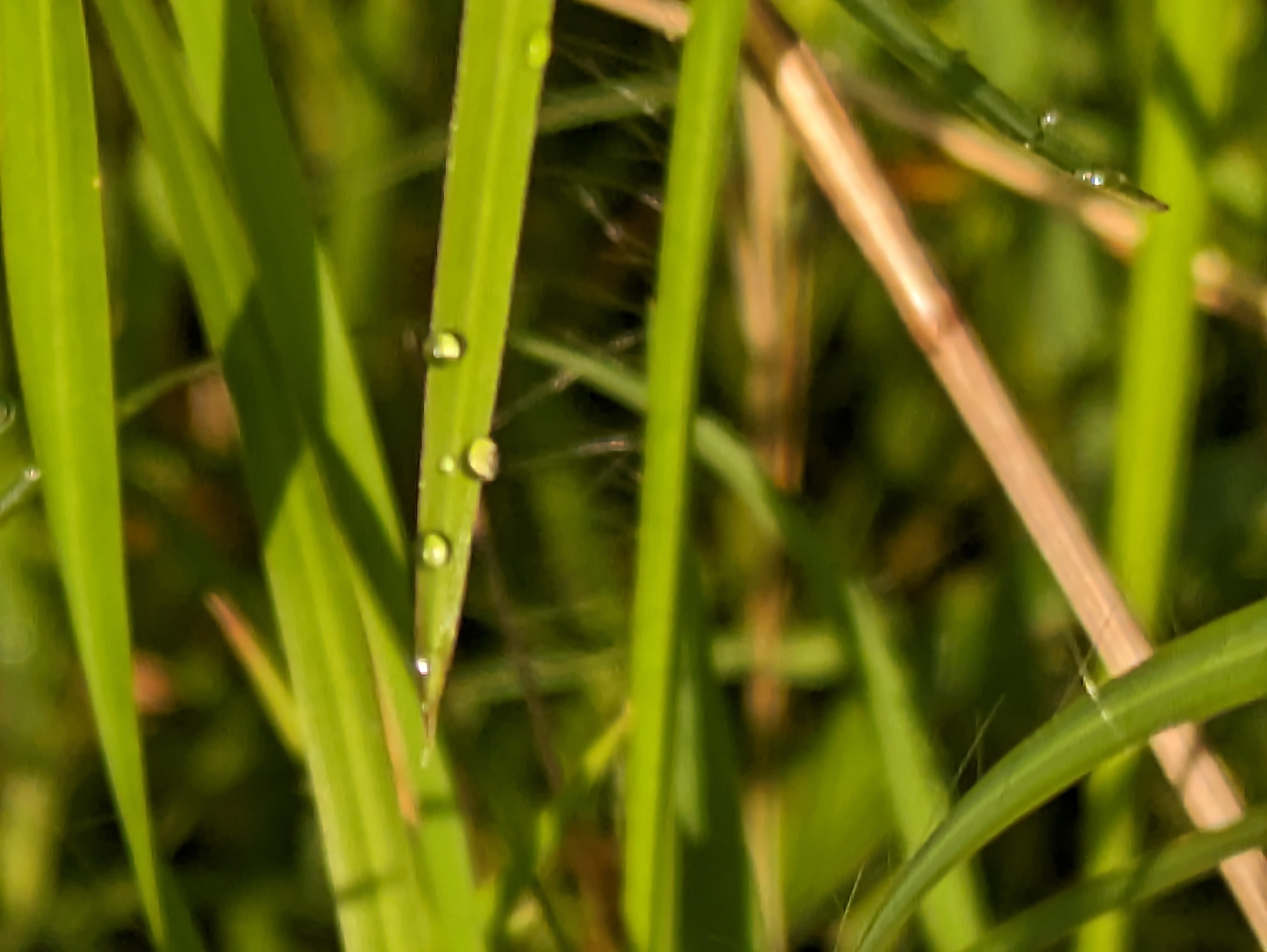 キラリ｜ichiro70