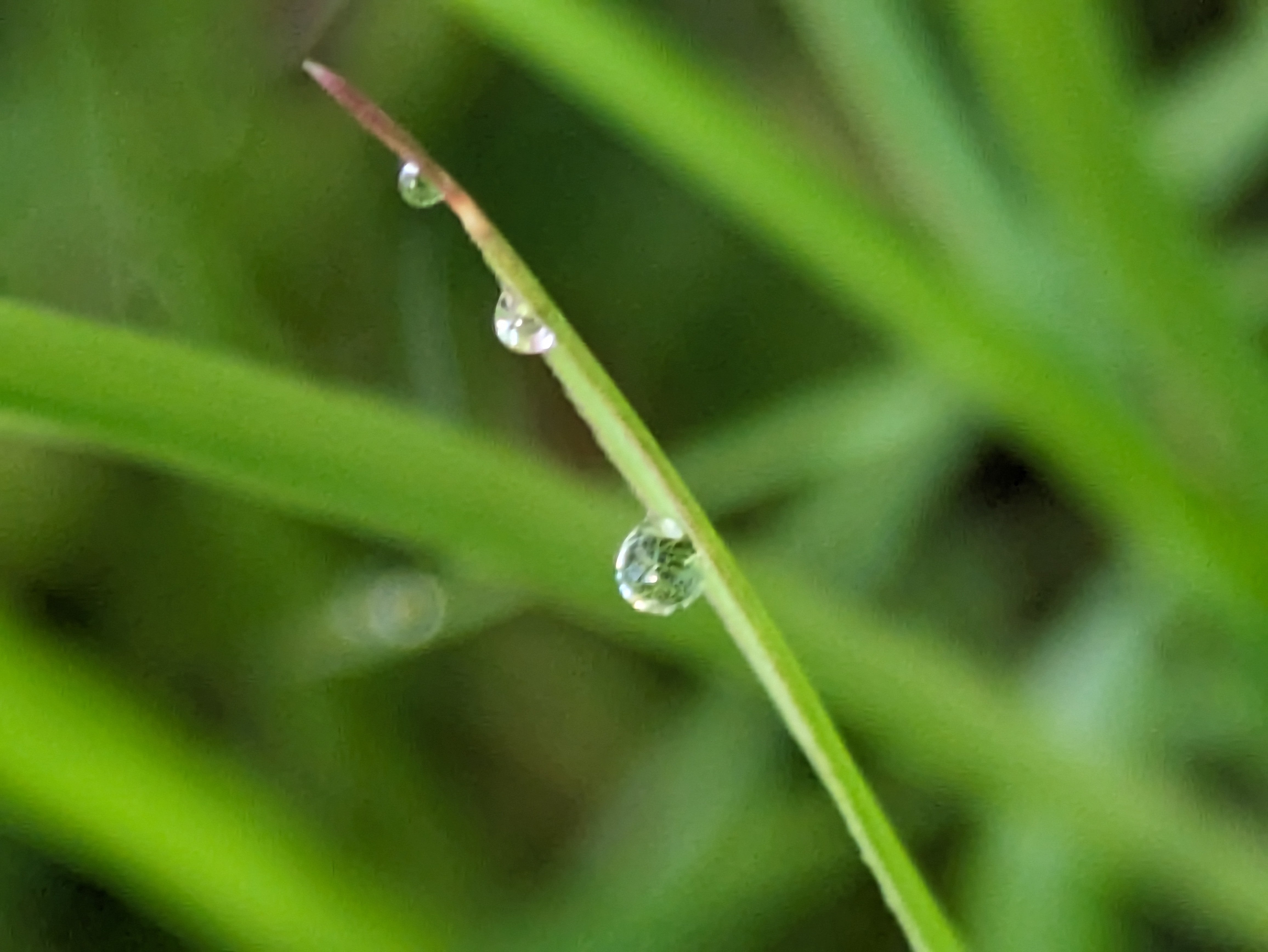 キラリ｜ichiro70