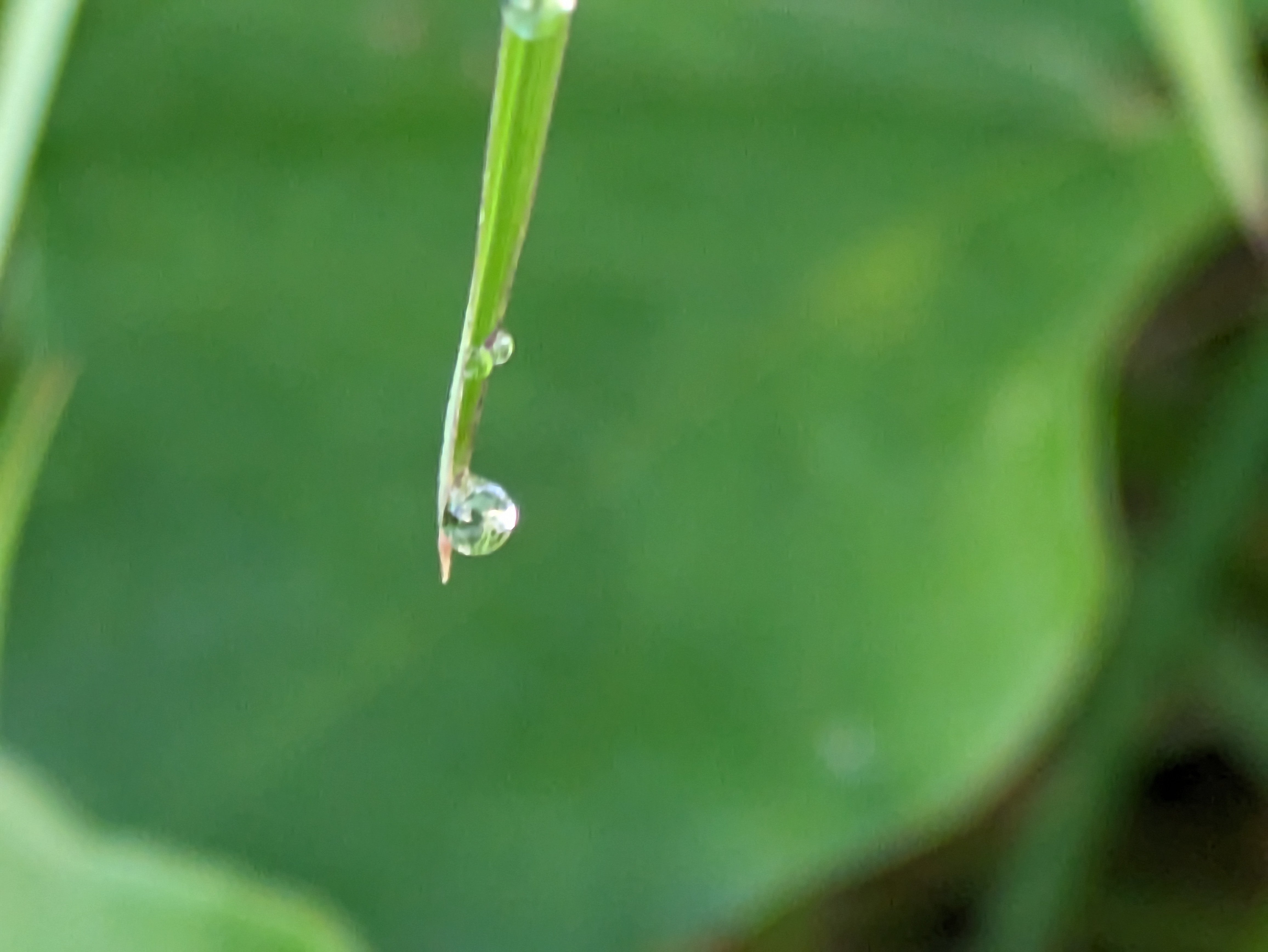 キラリ｜ichiro70