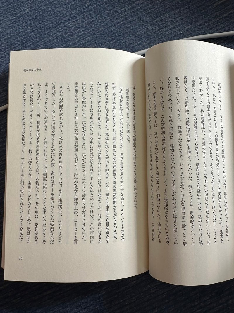 藤野可織、ちょとどころか面白い。｜OHNO Hiroshi