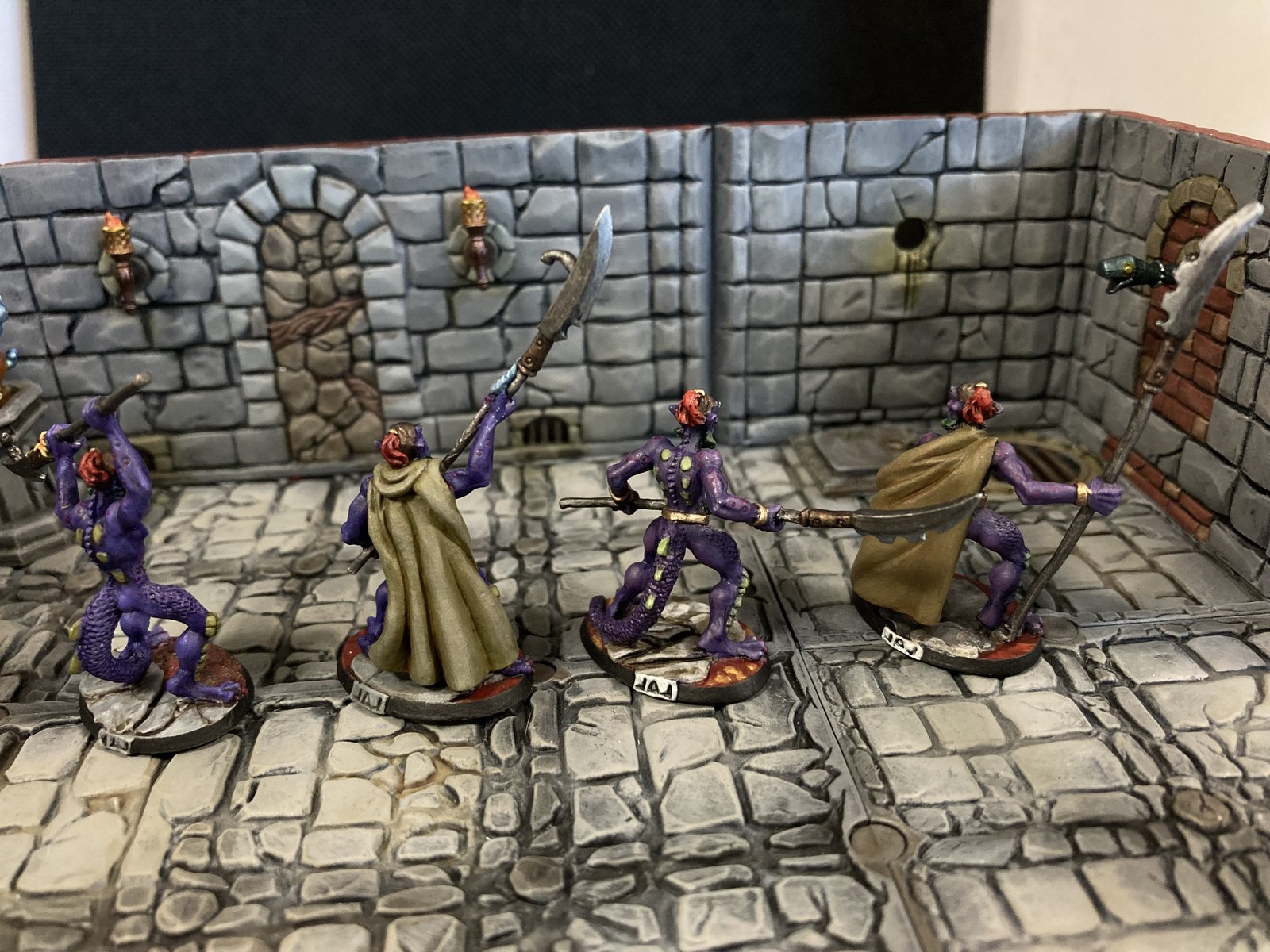 バーバズ（ビアーデッド・デヴィル）｜きしみつ