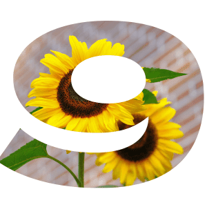 2023年8月のエネルギー｜RELIANCE-RIE