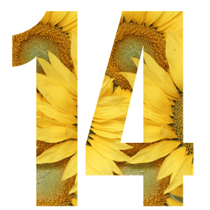 2023年8月のエネルギー｜RELIANCE-RIE