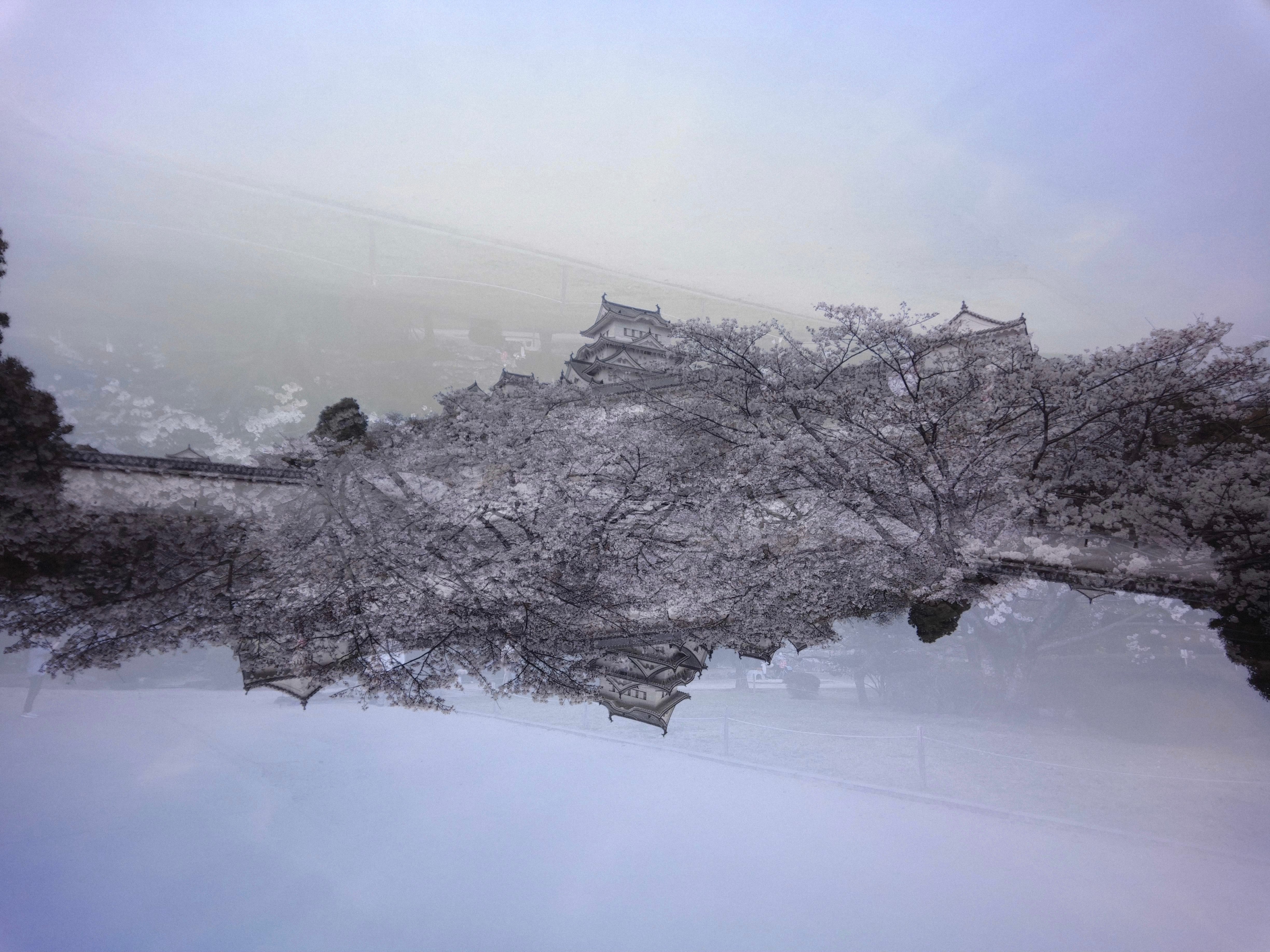 Papershootというカメラに取り憑かれているので語らせてほしい|KOTO Papershootというカメラに取り憑かれているので語らせてほしい|KOTO