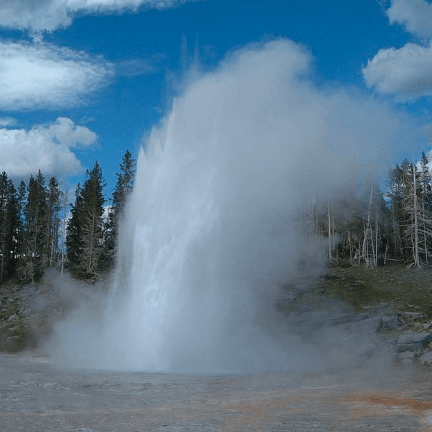 Geyser sign｜TKG画像診断