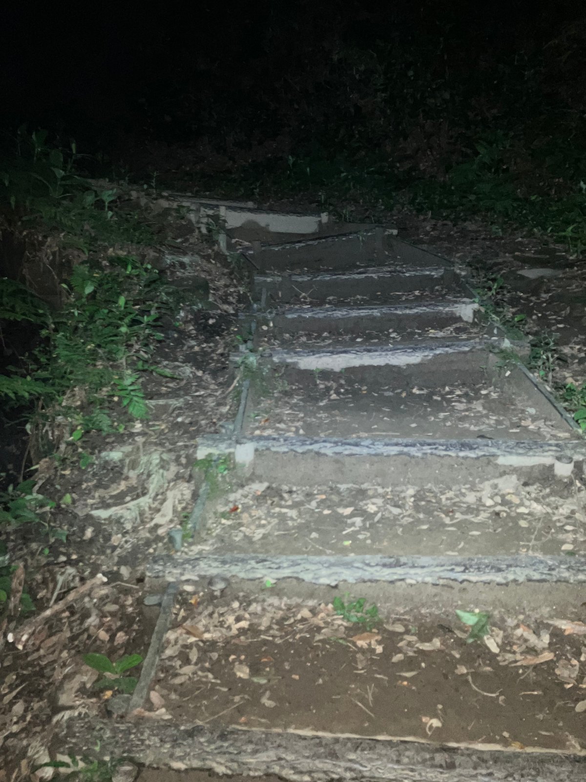 第1回房総半島1周280K 後編｜Shinya ABE