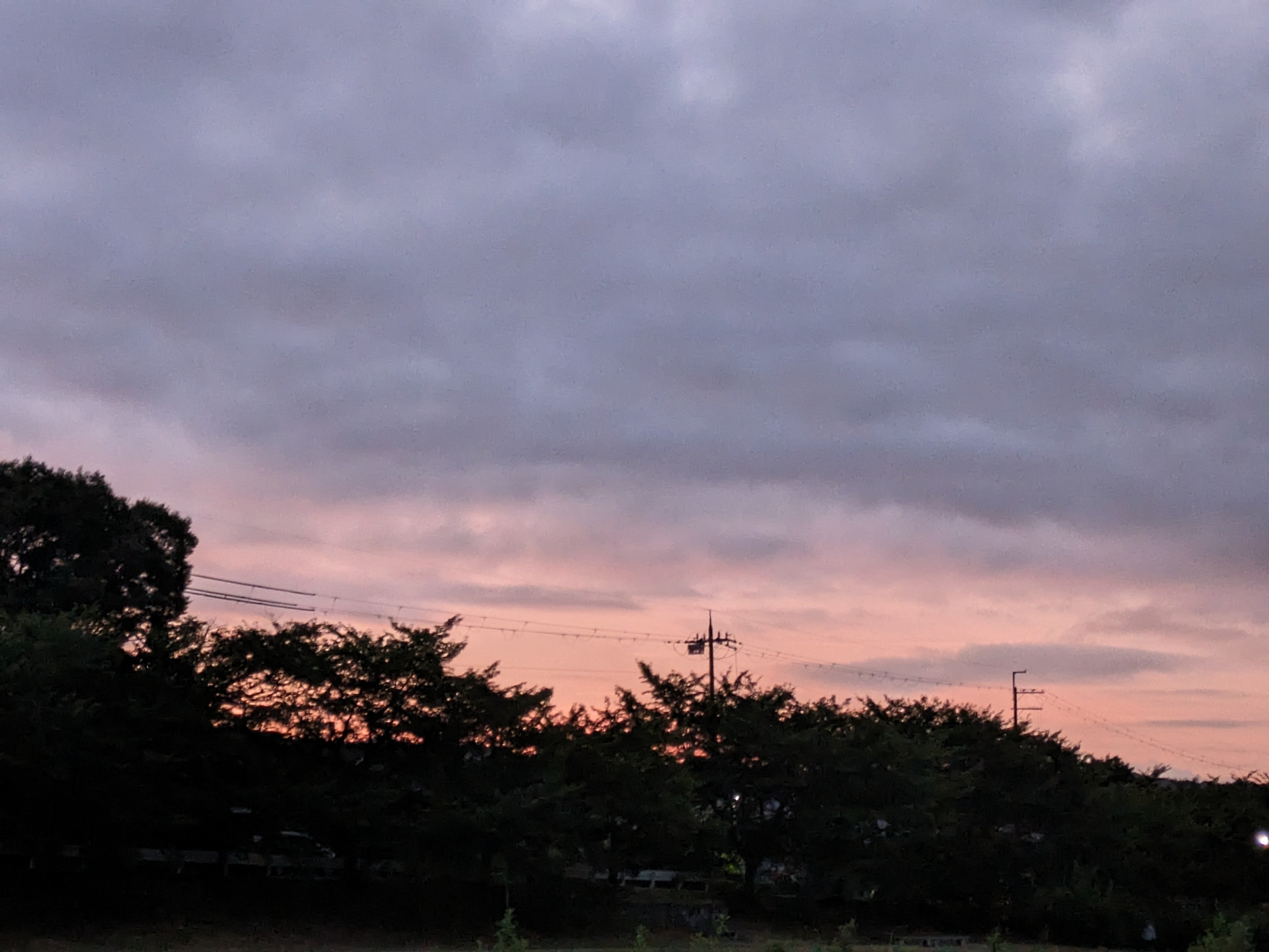 ダイナミック｜ichiro70