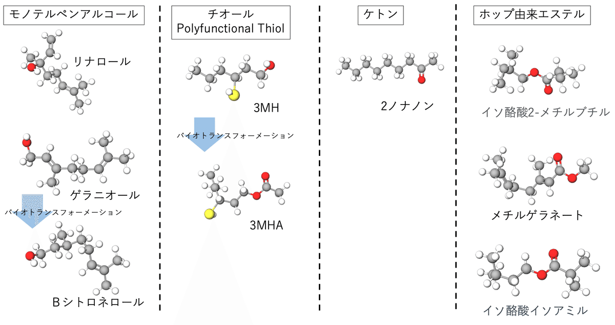 ビールと水〜⑯香気（臭気）成分と水｜Shiro Yamada