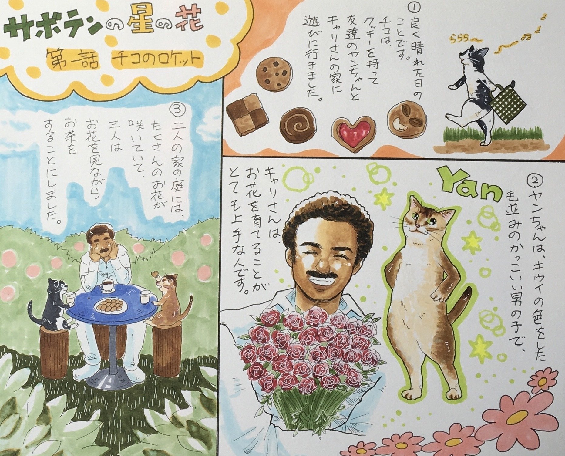 サボテンの星の花｜nachi