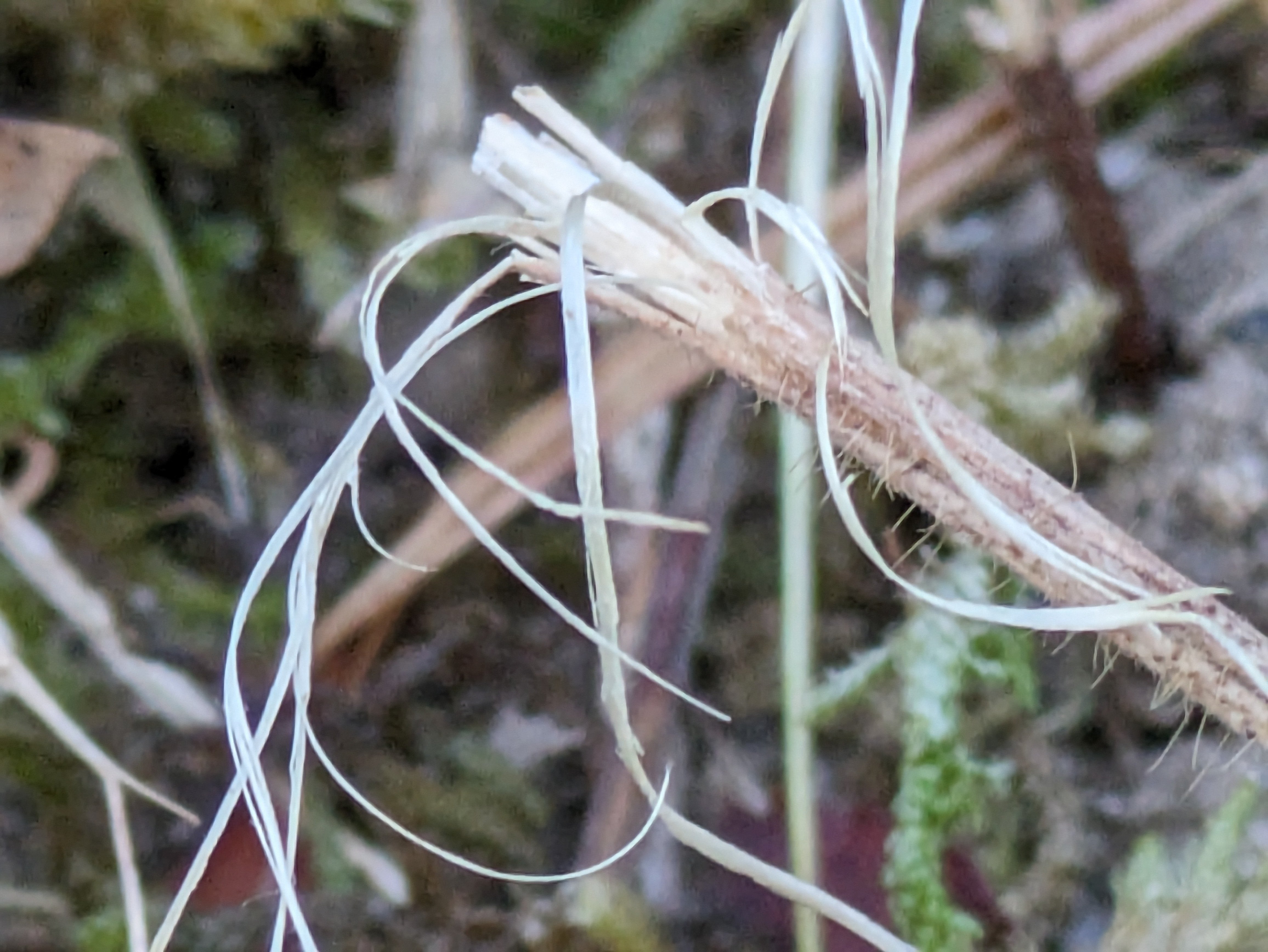 小さく細く…その先にあるフォルム｜ichiro70