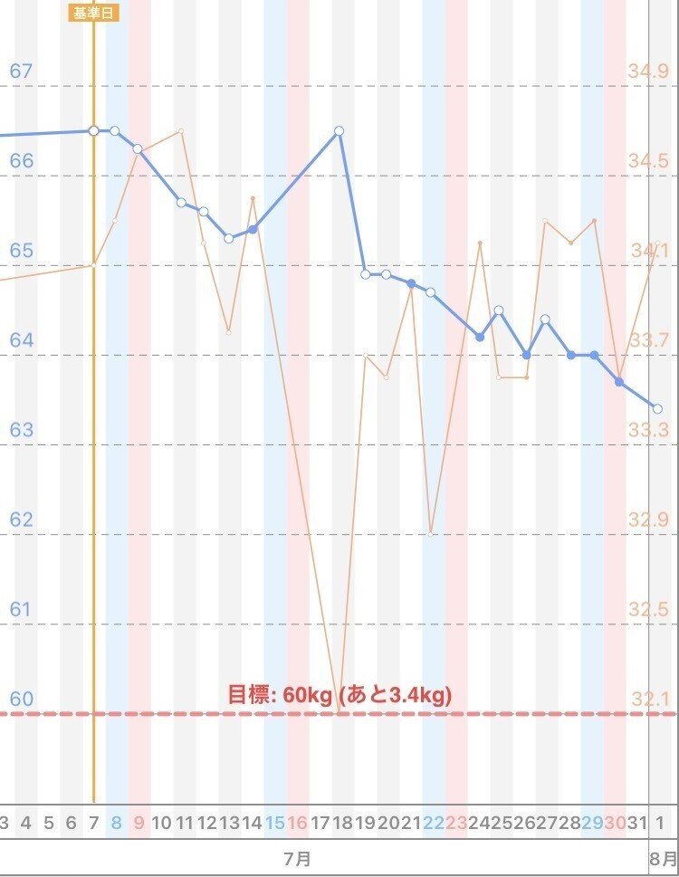 マイナス17kgを目指す女の1ヶ月目のダイエット記録【-3kg達成】｜みちょ＠ダイエット