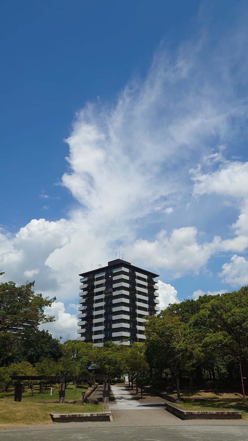 2023/08/01 雲に誘われて炎天下を歩いてフラフラになる。｜HRSD-note