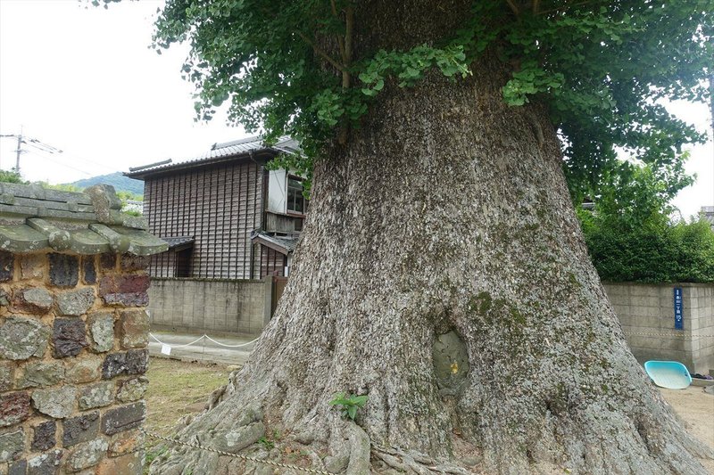 日本陶磁器の聖地「伊万里」と「有田」を歩く 国内旅行記・佐賀編Vol.6｜Tsuchinoco