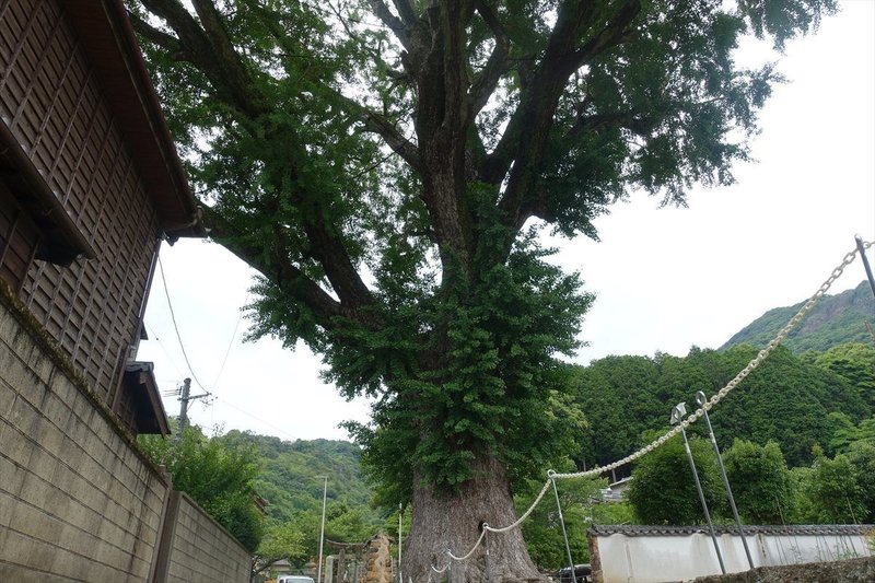 日本陶磁器の聖地「伊万里」と「有田」を歩く 国内旅行記・佐賀編Vol.6｜Tsuchinoco