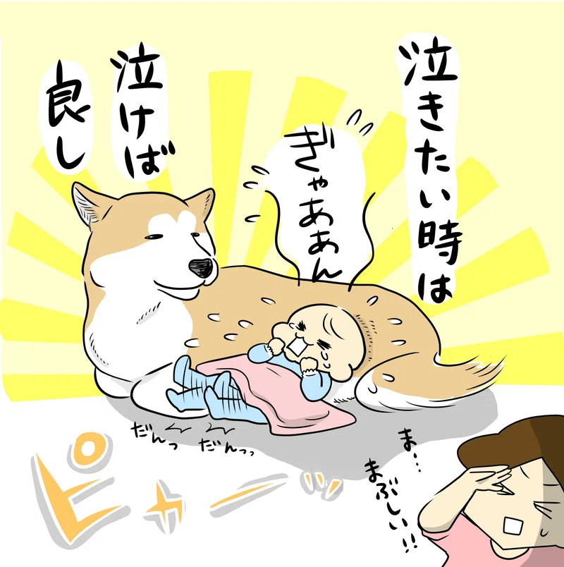 saruwatari さるわたり イラスト｜さるわたり