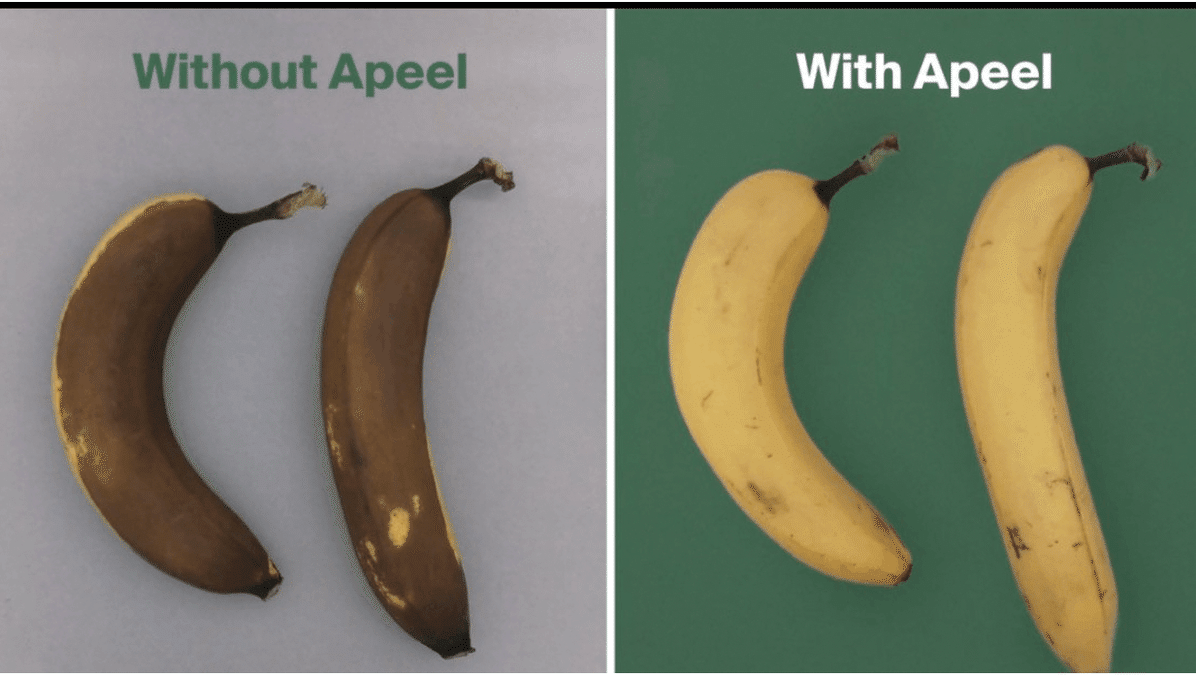 『Apeel Scienceと食品の未来〜長持ちする食品の秘密を解き明かす〜 』｜はるき