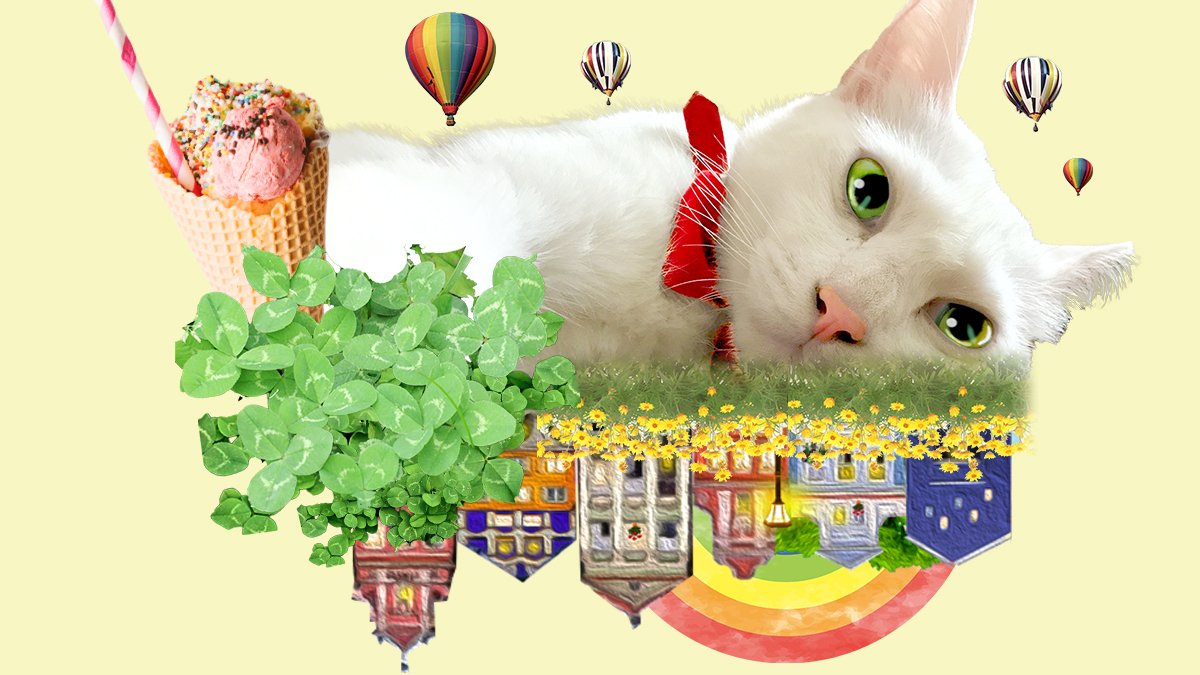 ＜猫とコラージュ＞猫の寝ている下には？｜koha_karu_colla