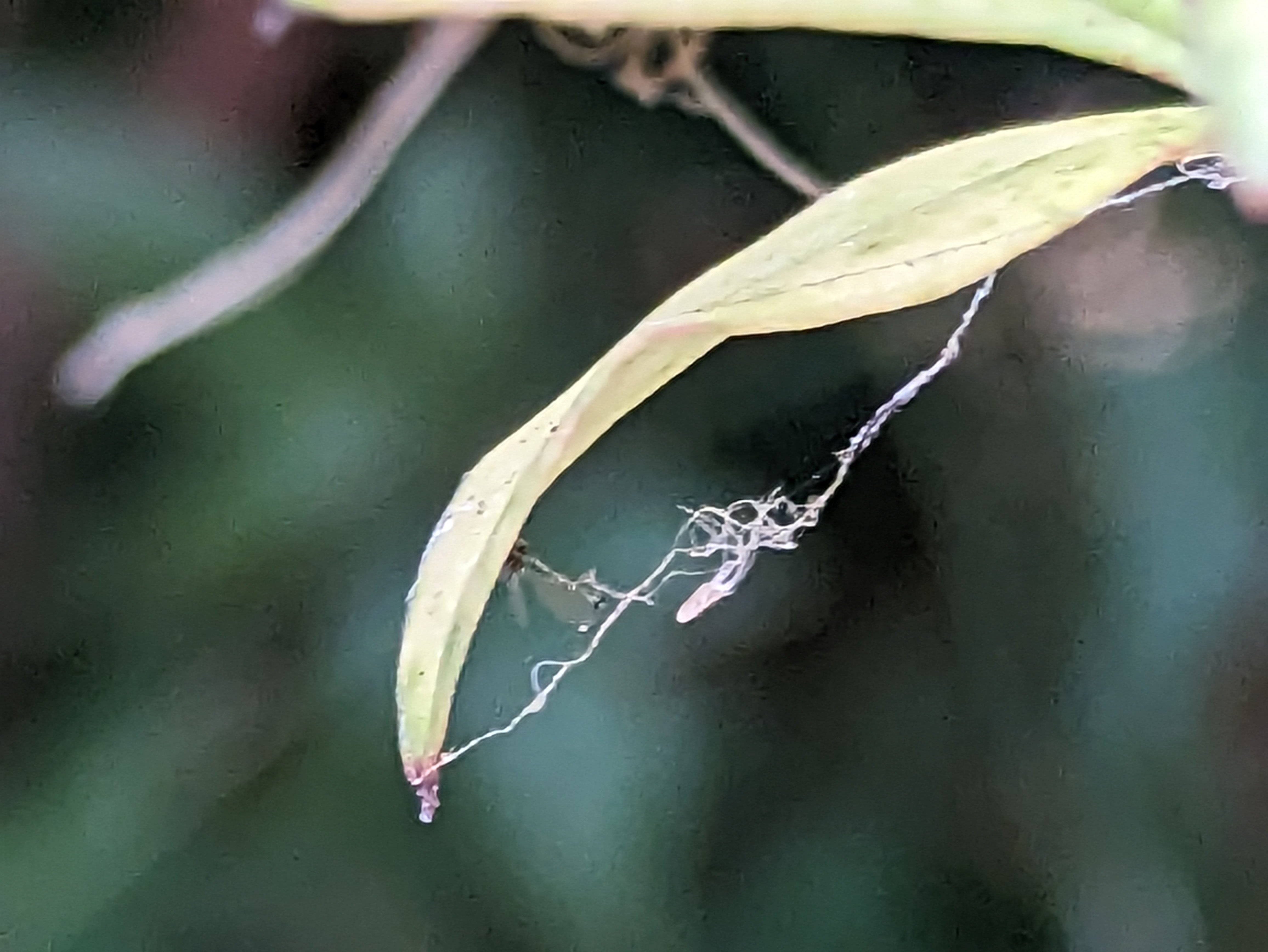 気になる ②｜ichiro70