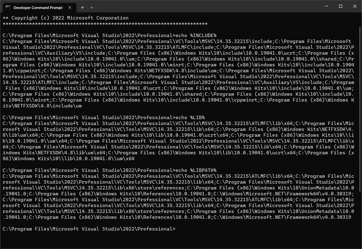 WindowsでAtcoderのC++環境を構築する｜enakata06