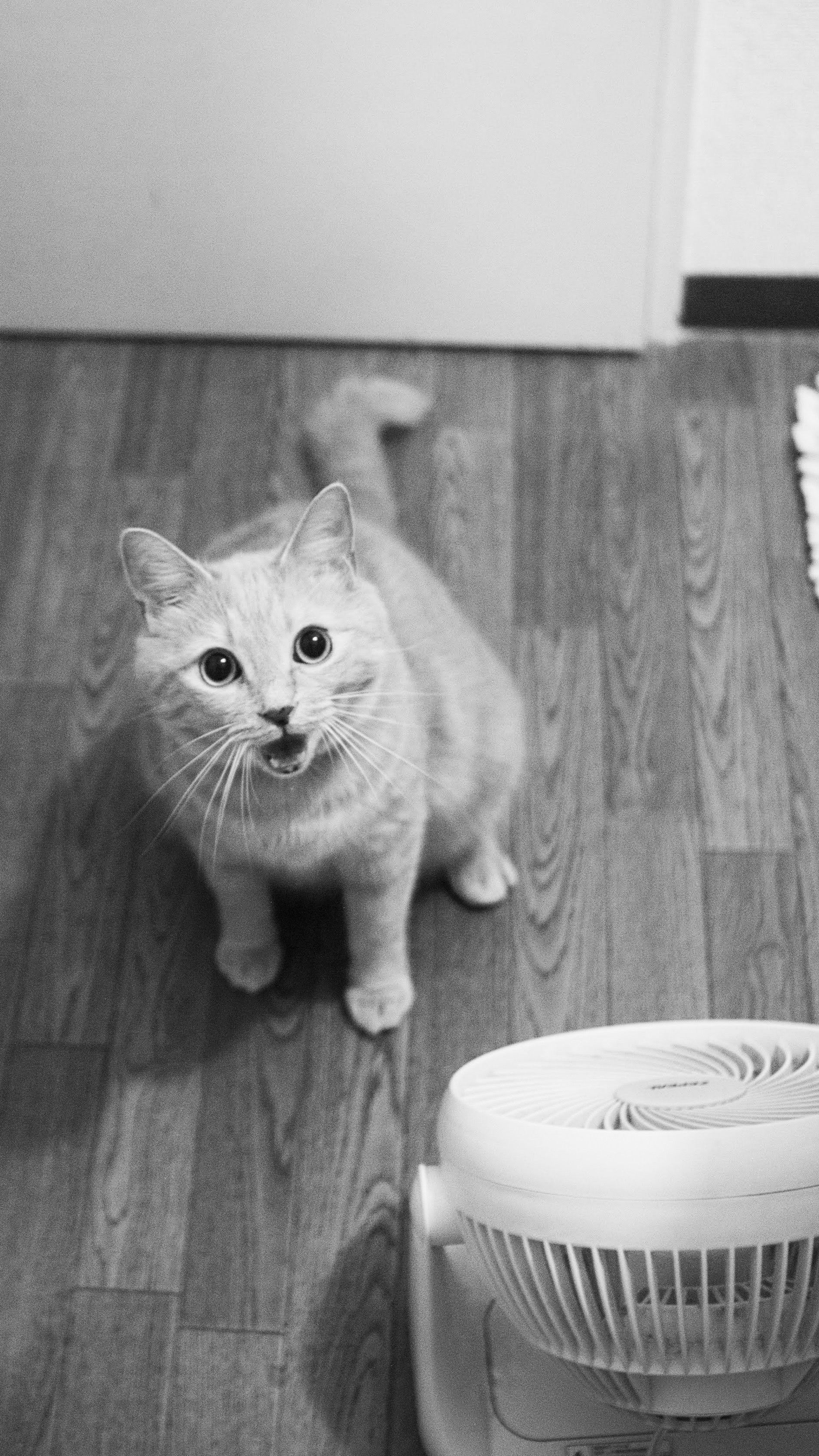 🛁🙀🚿｜ryosukewexer