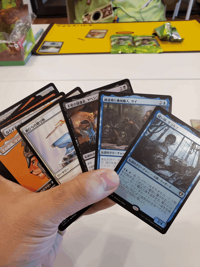 統率者マスターズドラフト＠note place｜pandasky