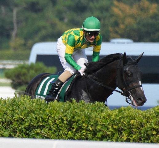 【レパードS（G3）回顧~その先へ】血統篇｜Haya