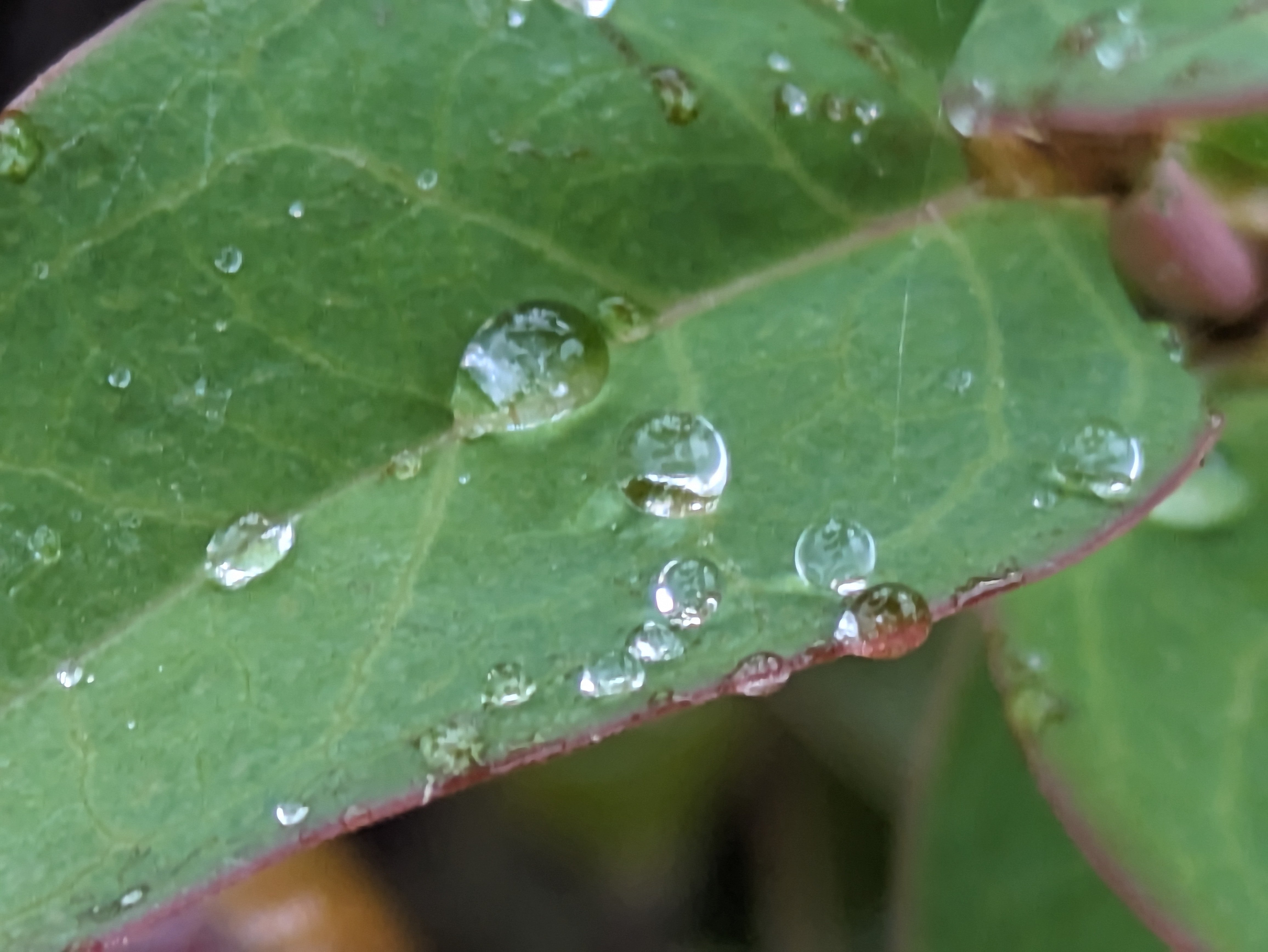 天は見放さなかった ②｜ichiro70