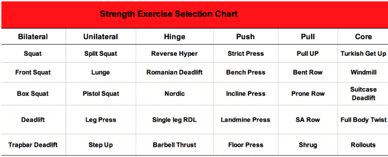（和訳）Exercise Selection Chart/エクササイズを選ぶときのチャート by Ashley Jones｜Coach Saki〈アスリートに最高の準備を提供する人〉
